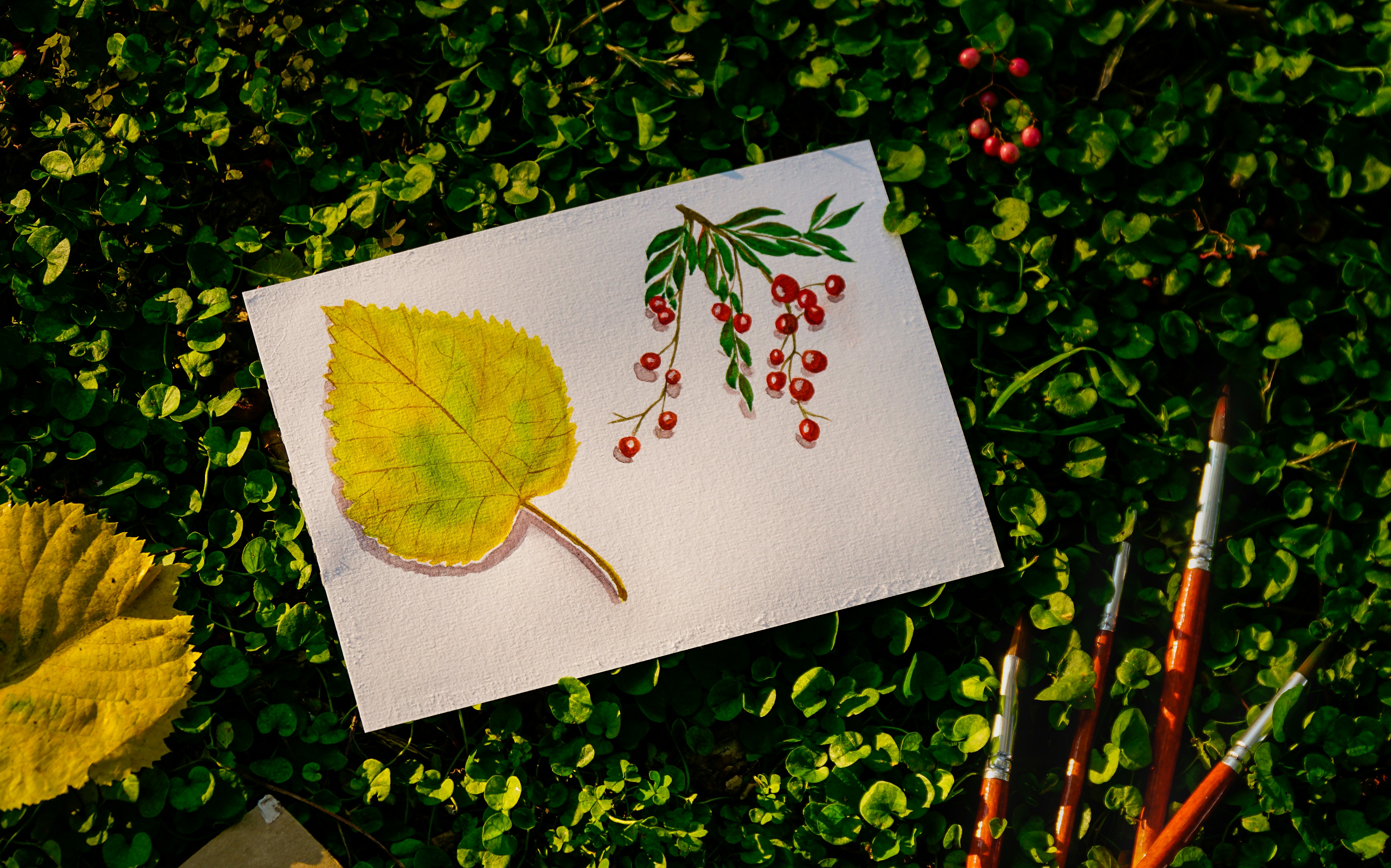 Nature's Palette: A Study of Autumn Leaves