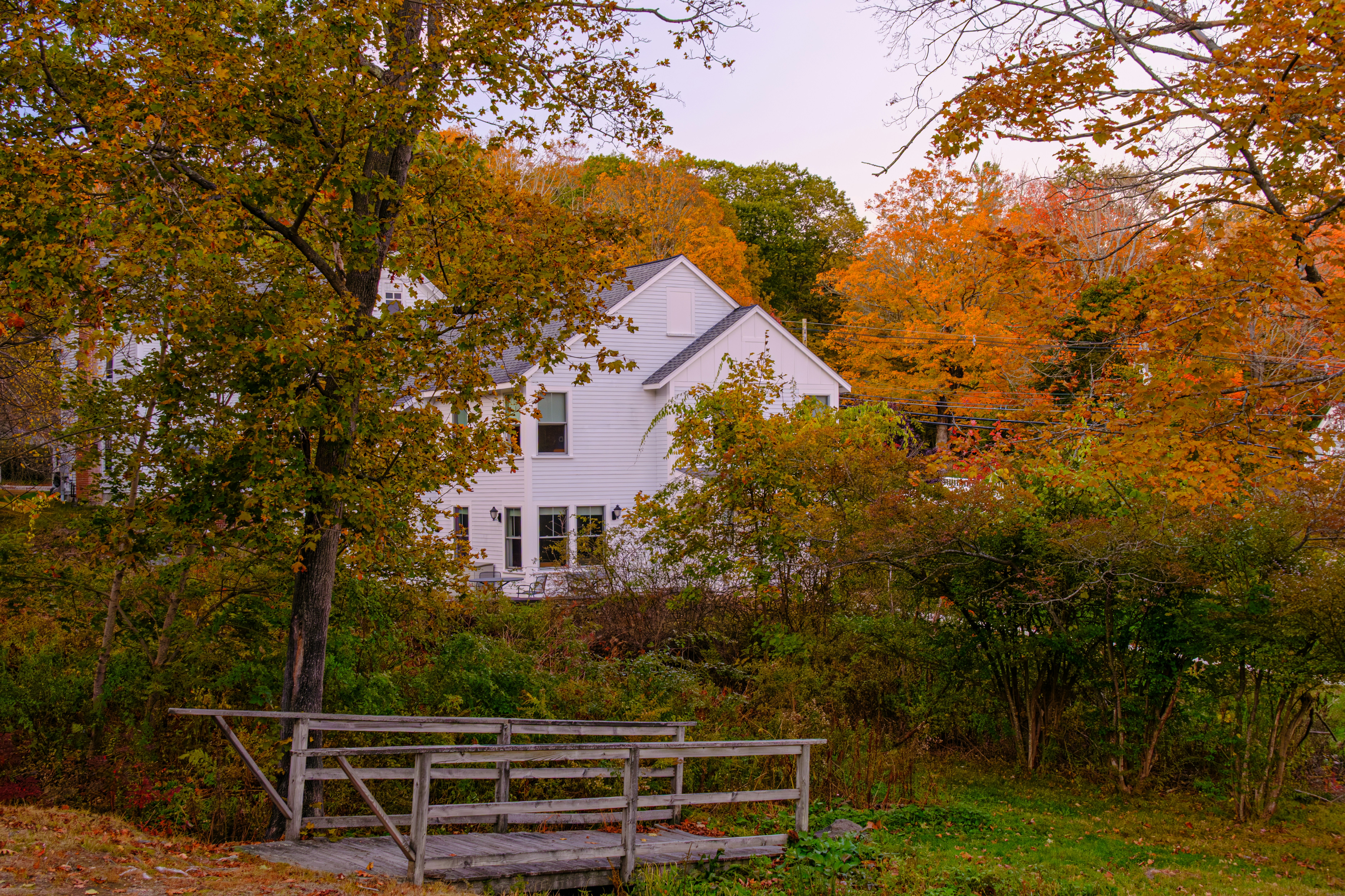 Autumn's Embrace: A Serene Retreat