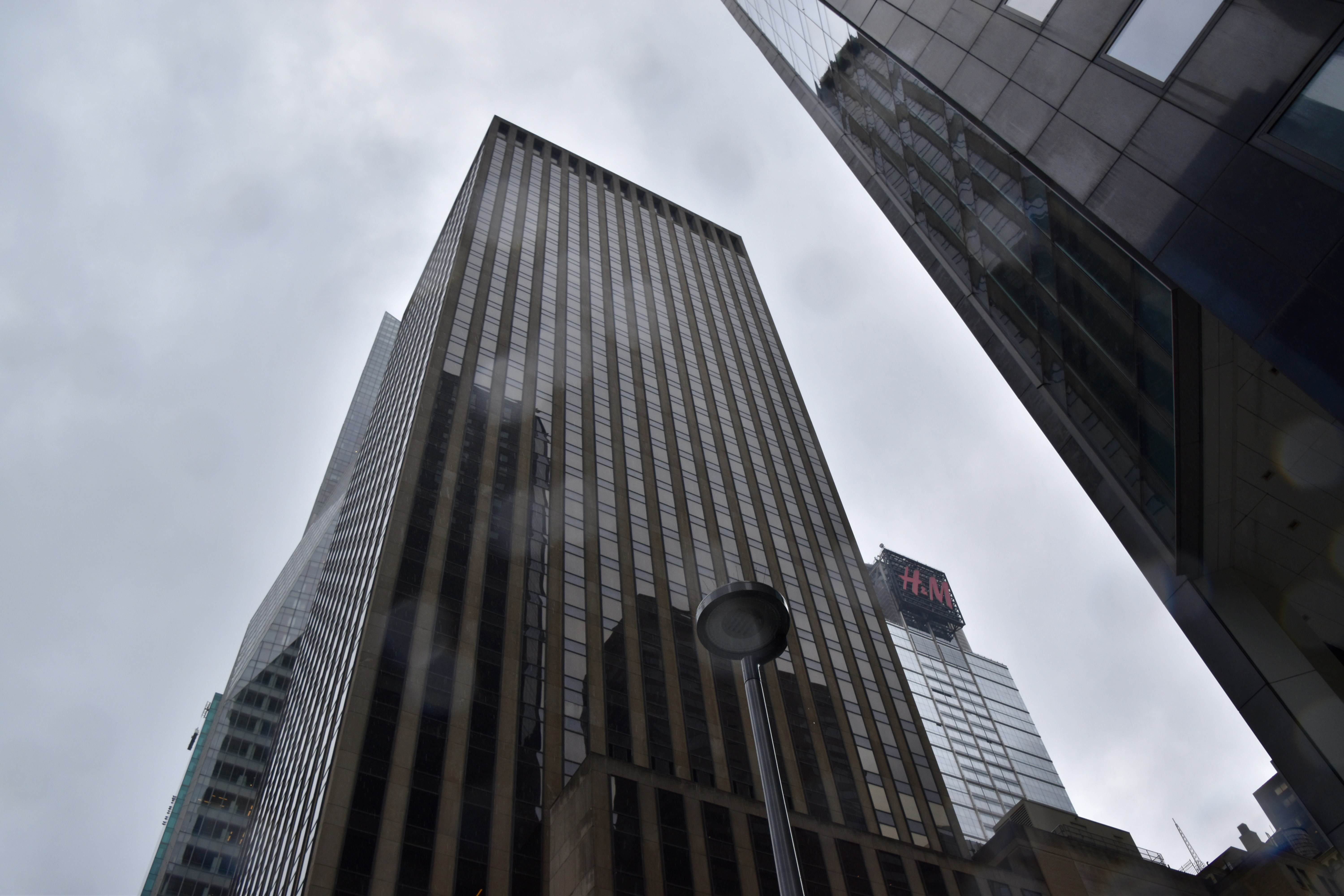 Photo by Samuel Isaacs with Nikon D5600