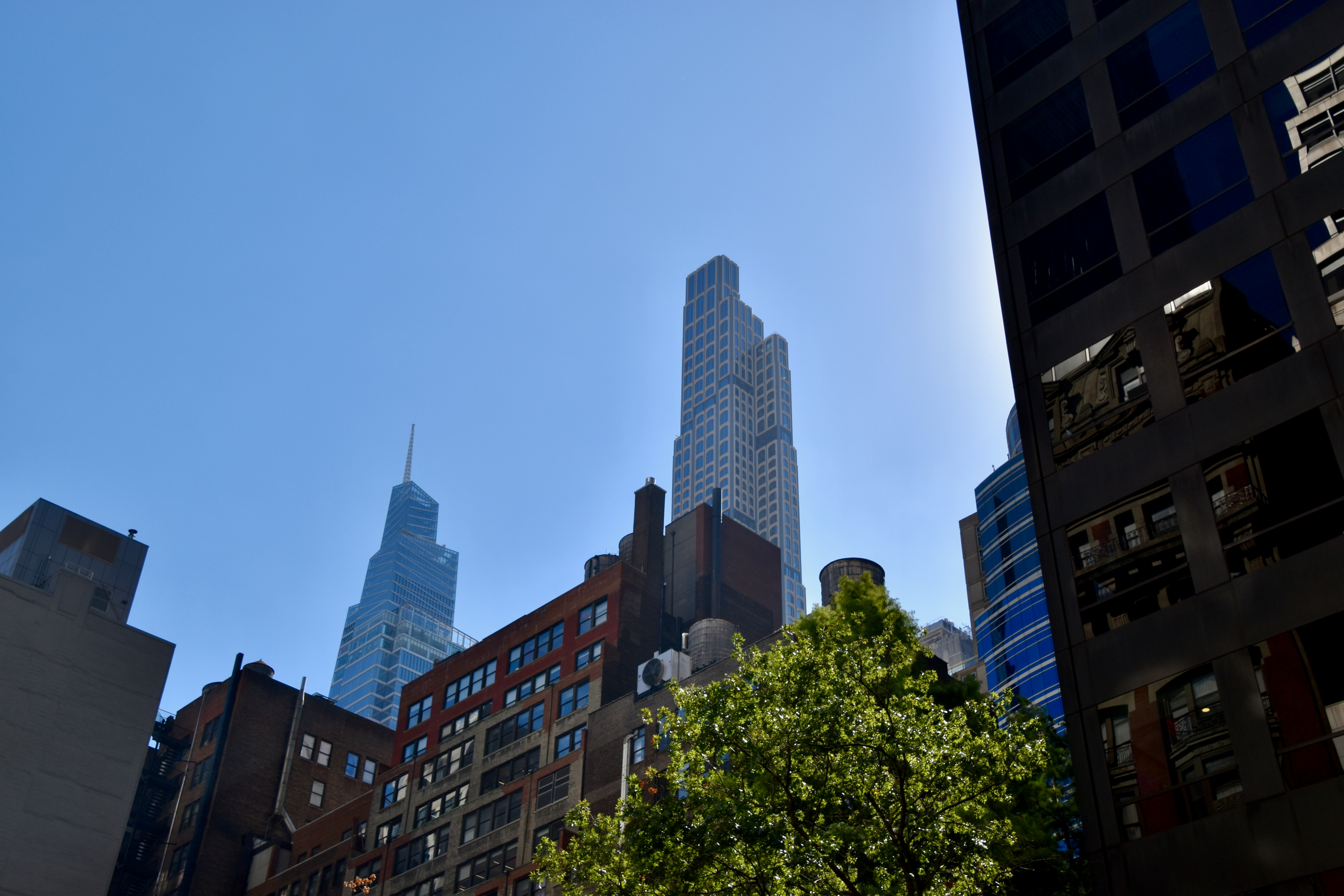 Skyscrapers rise majestically against a clear blue sky, framed by the vibrant greenery of a city tree. The juxtaposition of nature and architecture is striking.