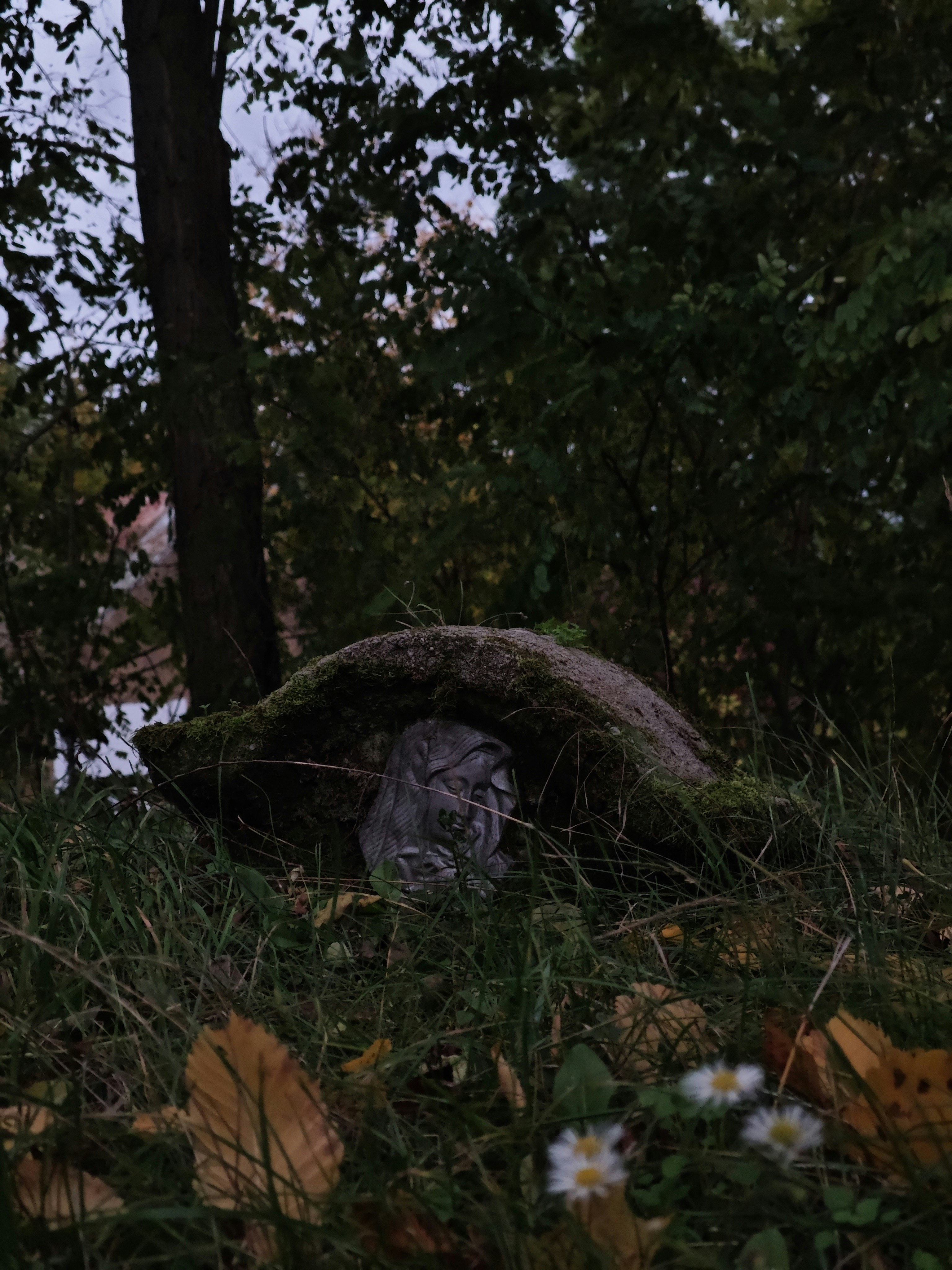 Moss-Covered Nook: A Hidden Stone Face in the Quiet Forest