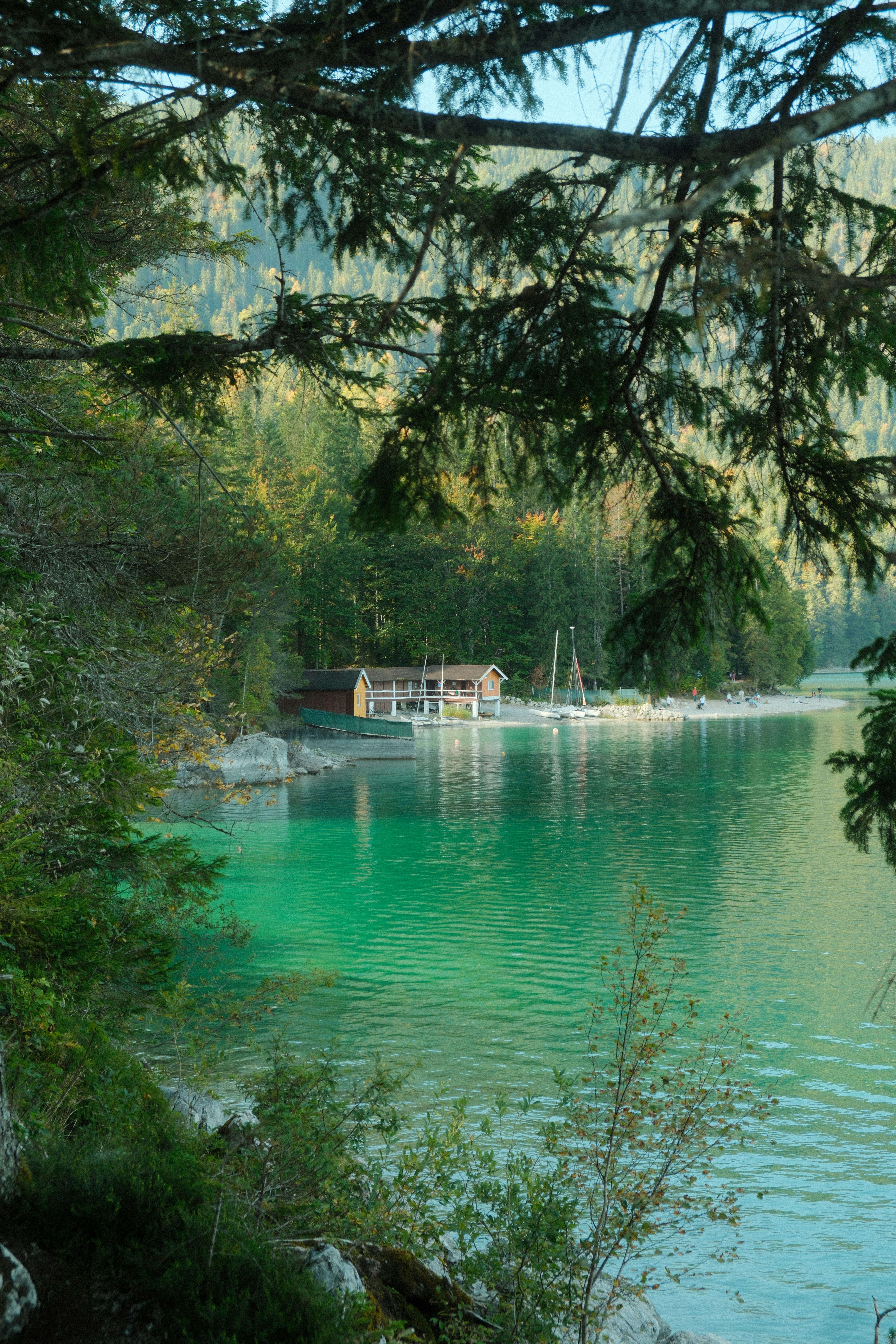 Emerald Lake Boathouse: Pines Framing a Turquoise Shore
