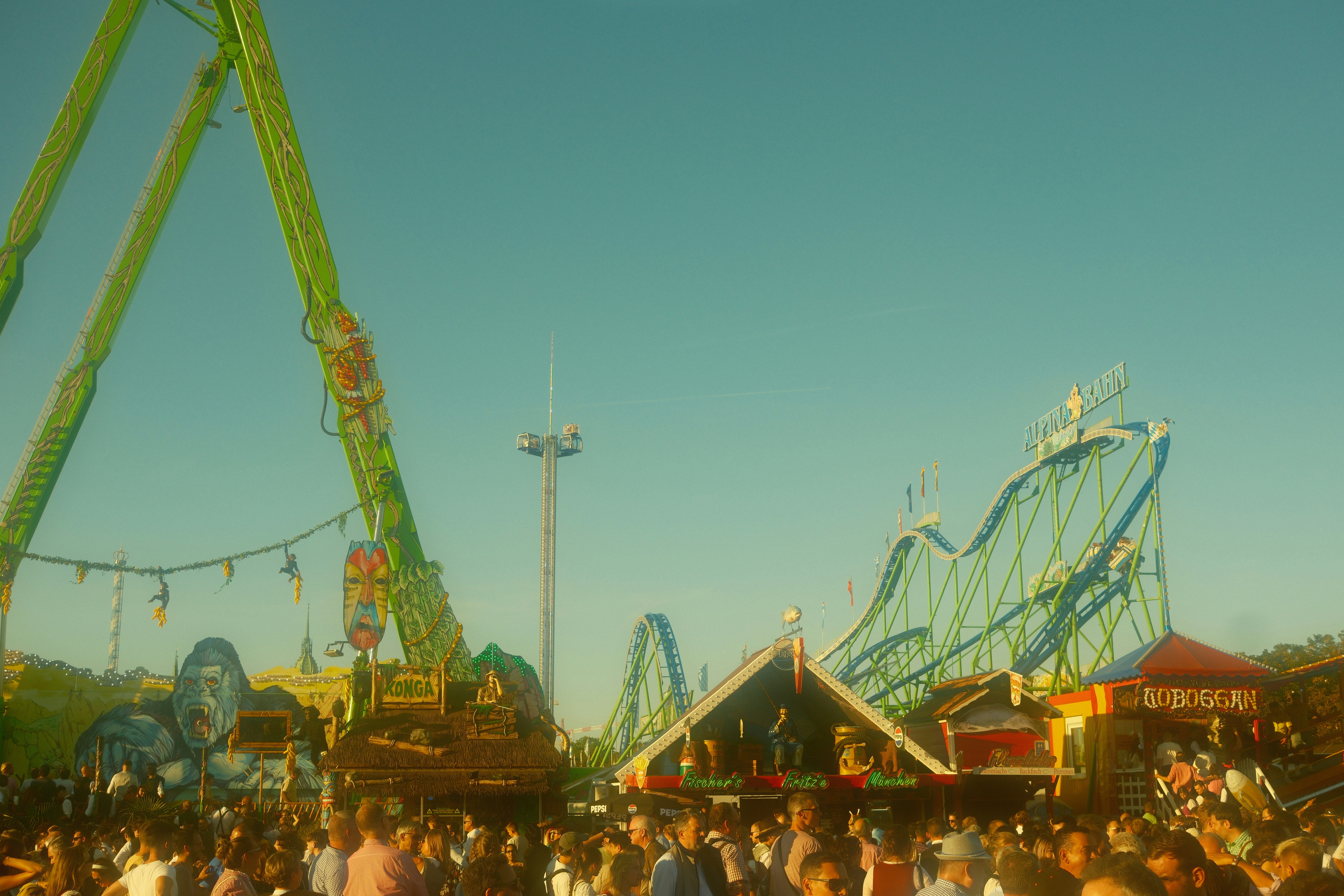 Sunlit Carnival Pulse Beneath the Coaster Arc