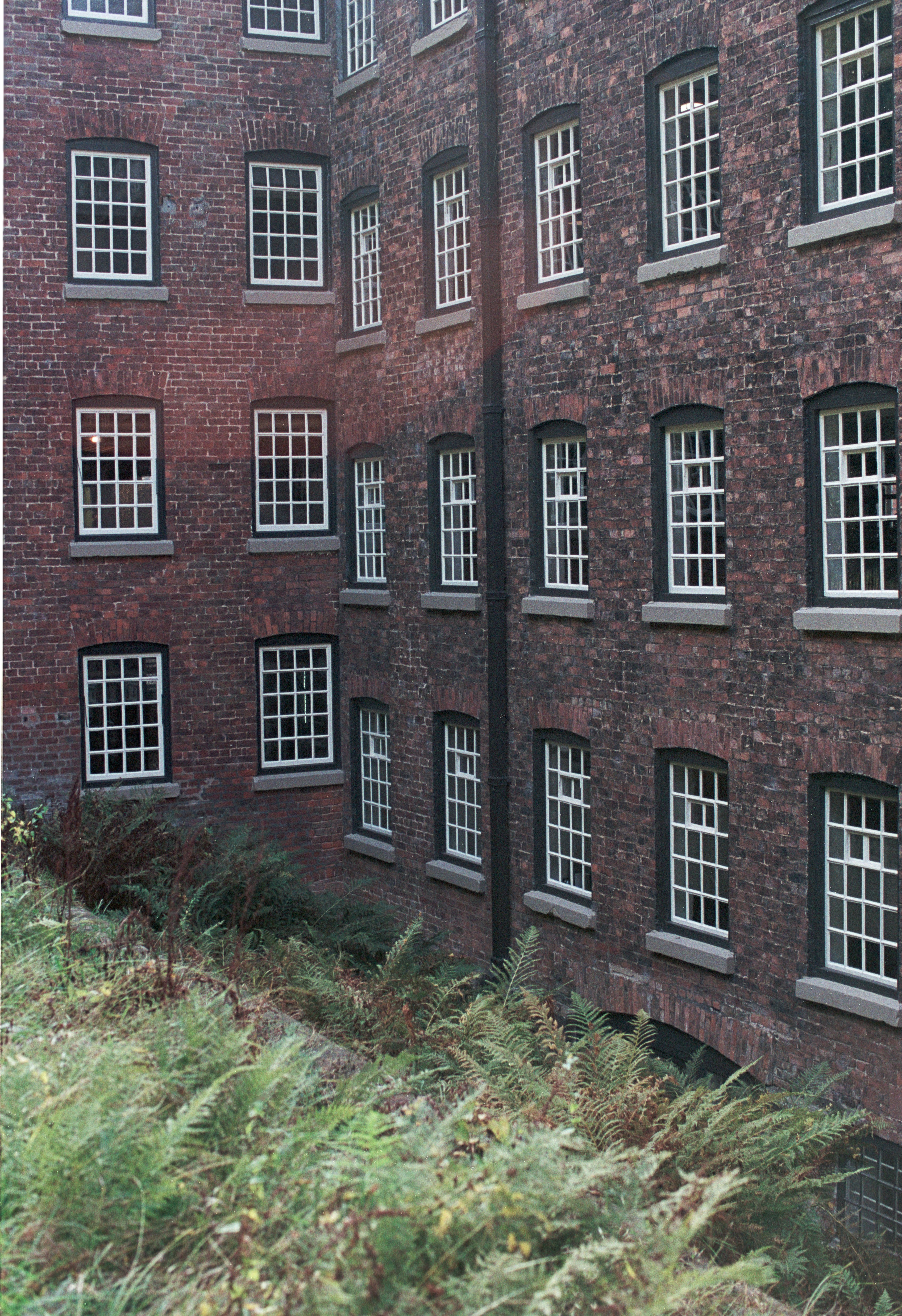 Red Brick Grid: Windows in a Quiet Courtyard