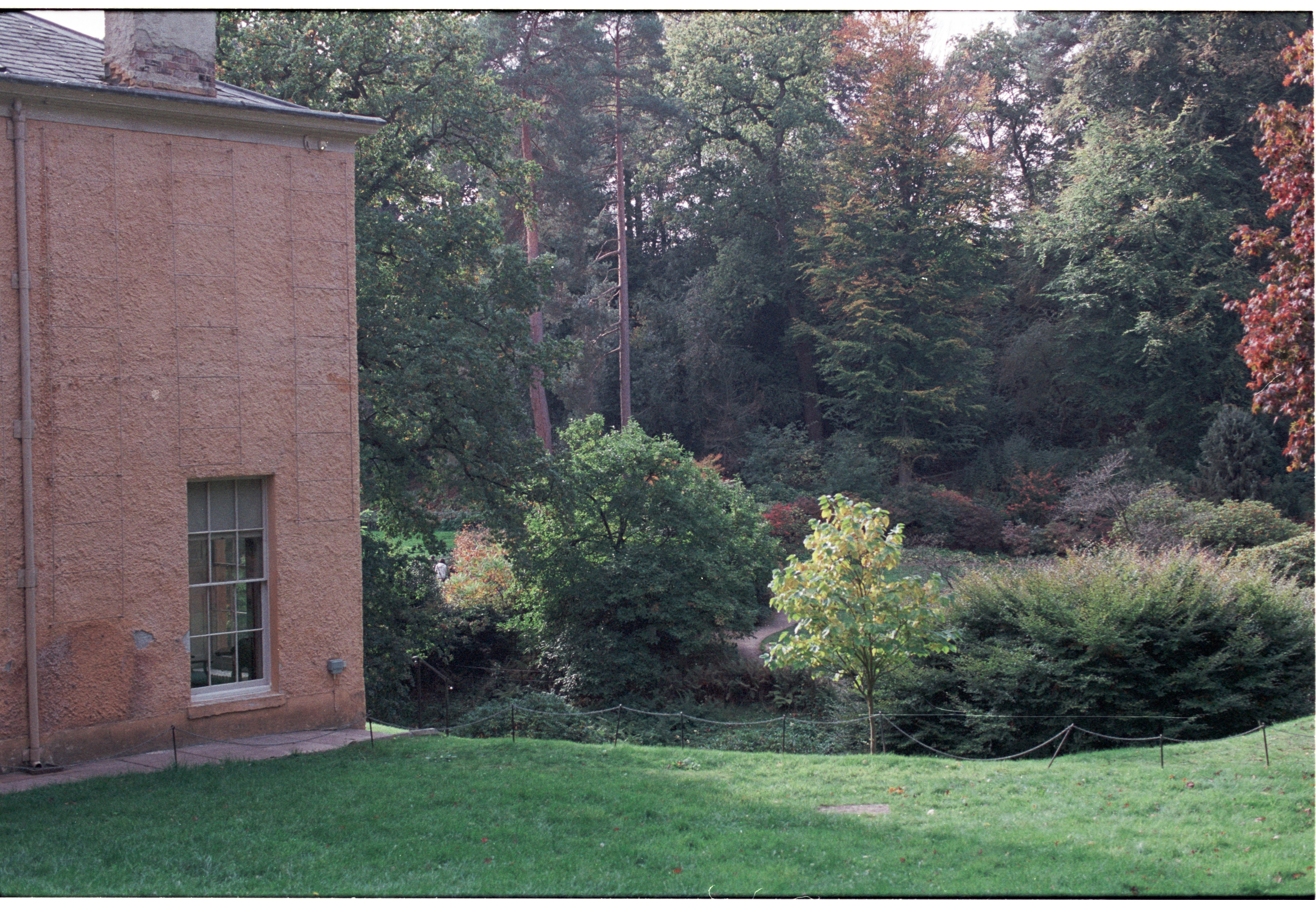 Photo by Tanya Barrow with Plustek OpticFilm 8300i