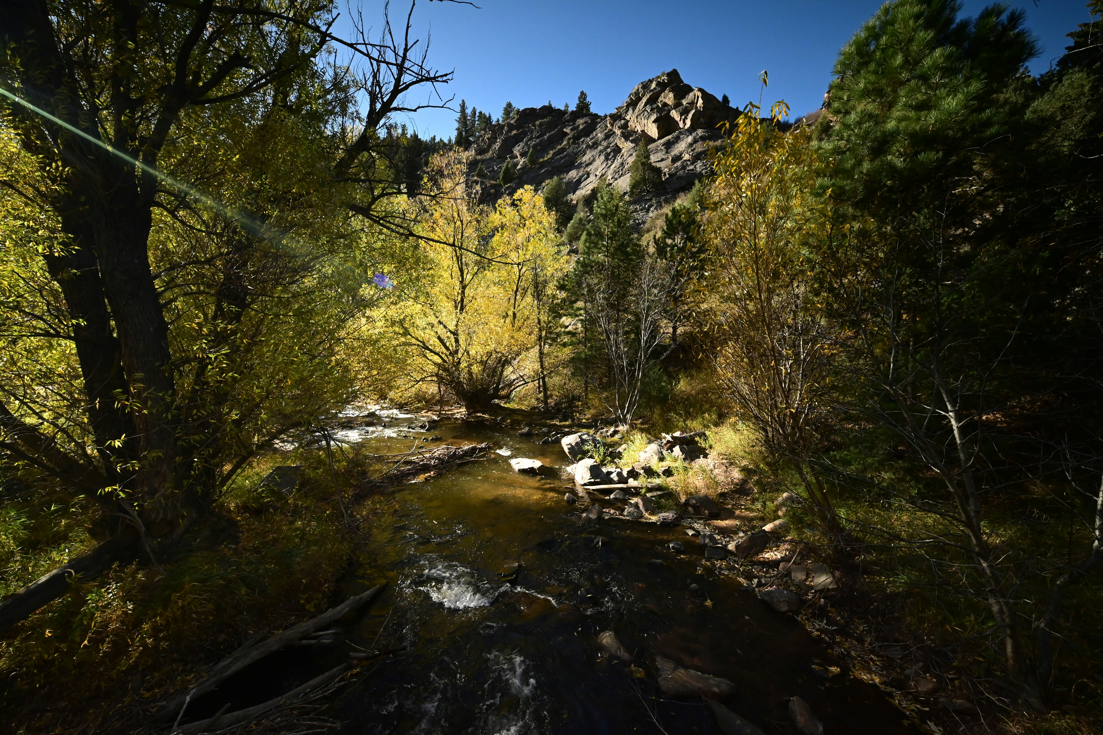 Whispers of Autumn by the Stream