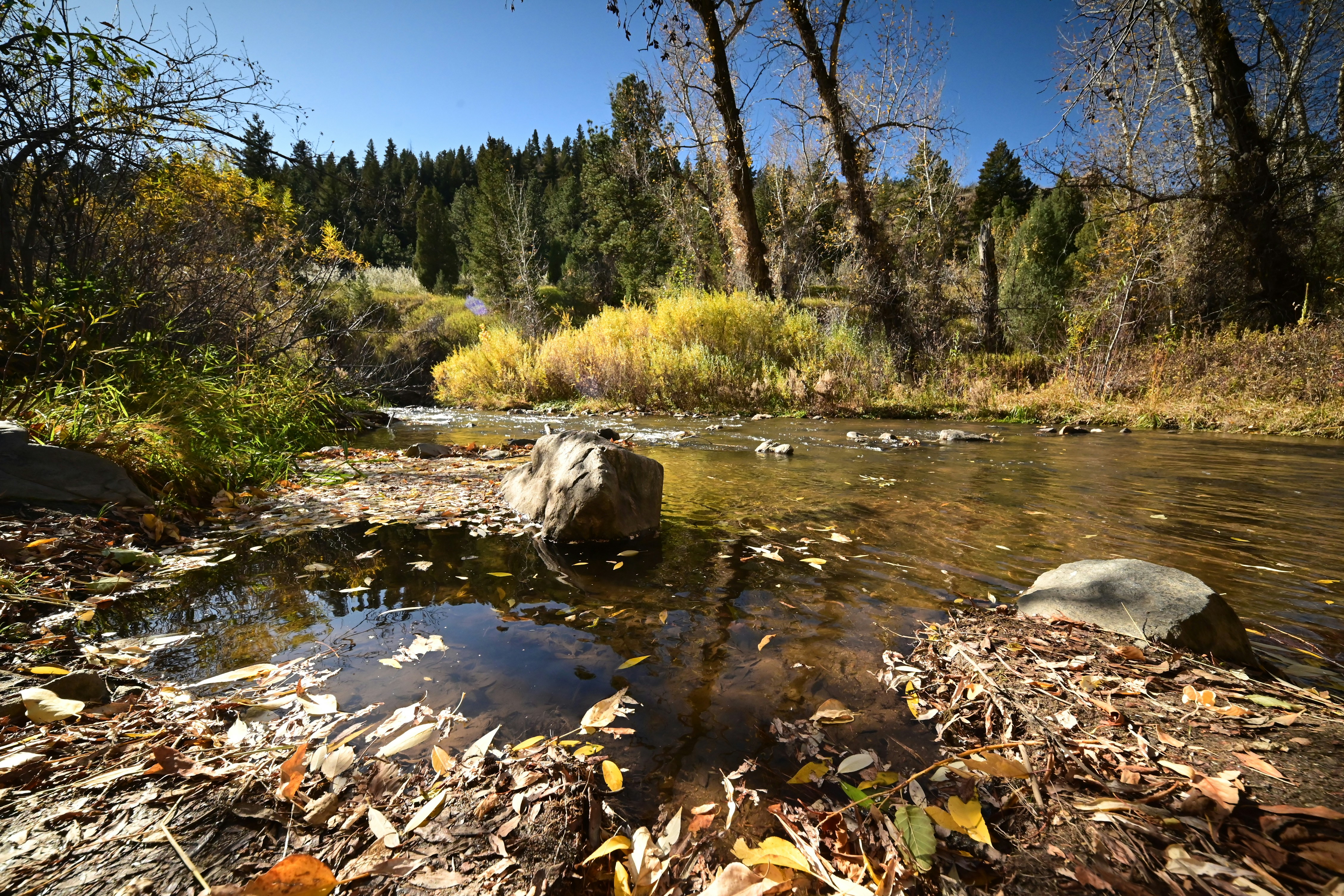 Sunlit Stones and Autumn Reflections by a Calm Riverside