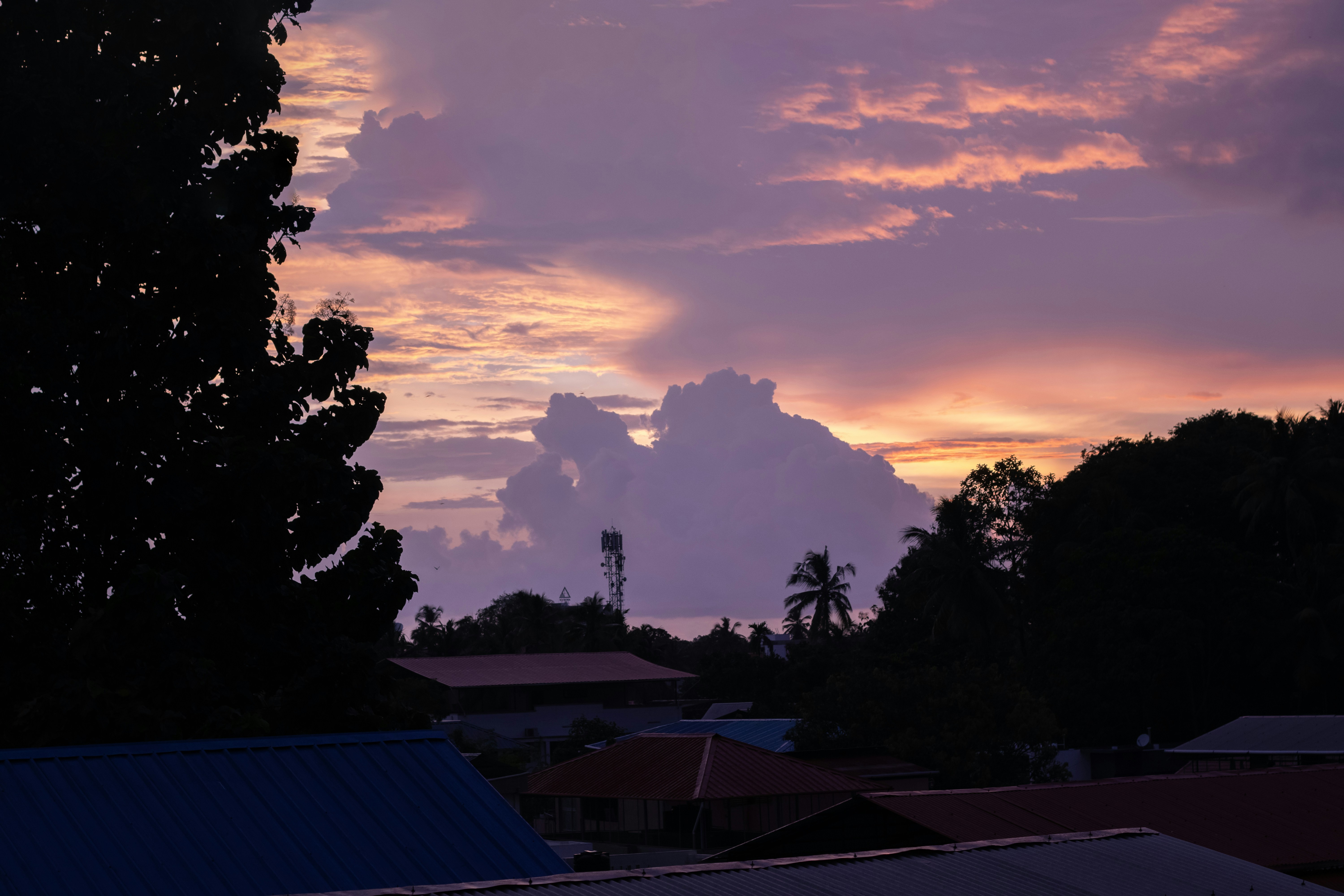 Twilight Whispers: A Serenade of Colors