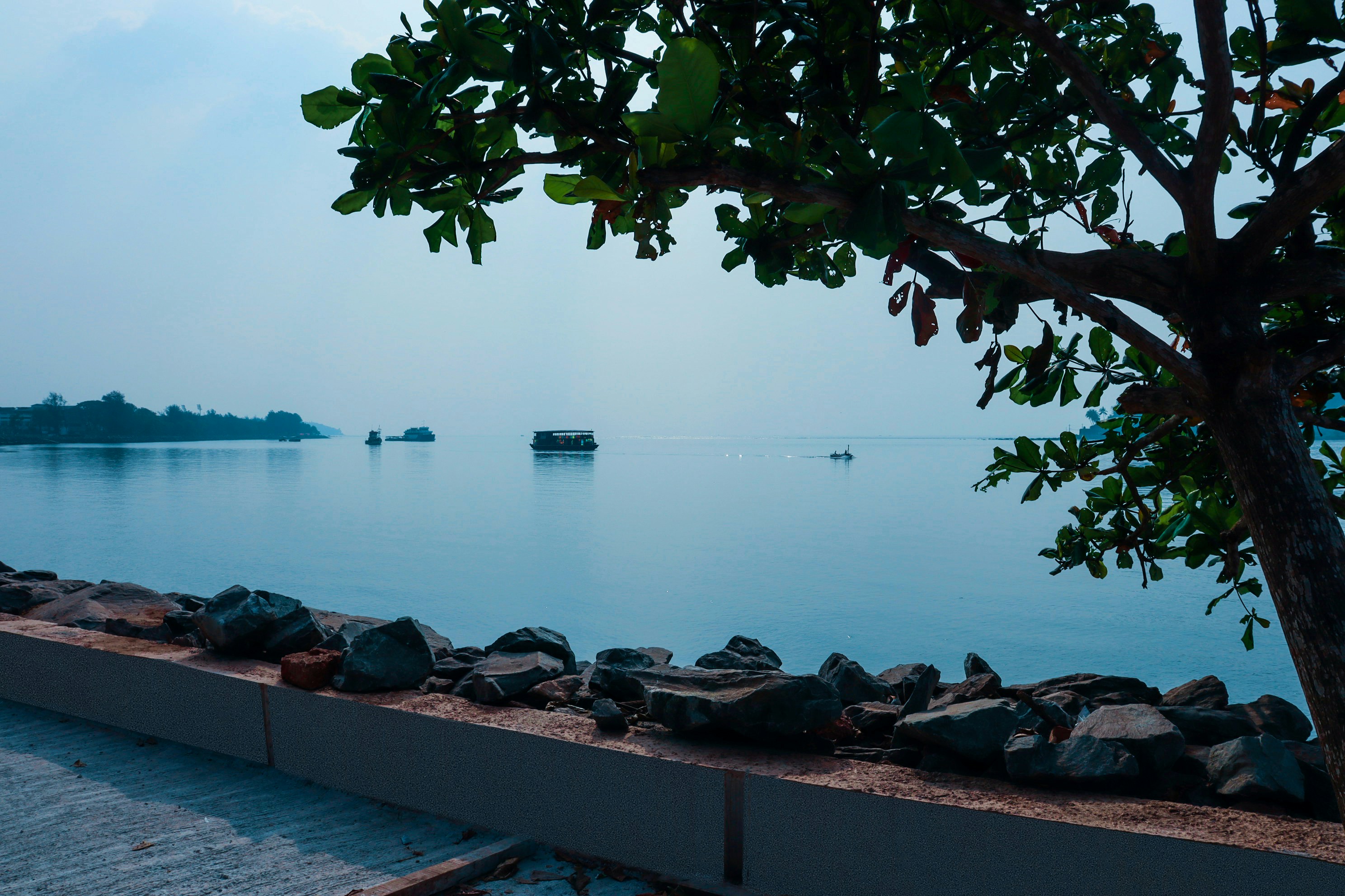 Calm coastal scene featuring a tree framing the shoreline with boats gently floating on the water. The atmosphere evokes a sense of peace.