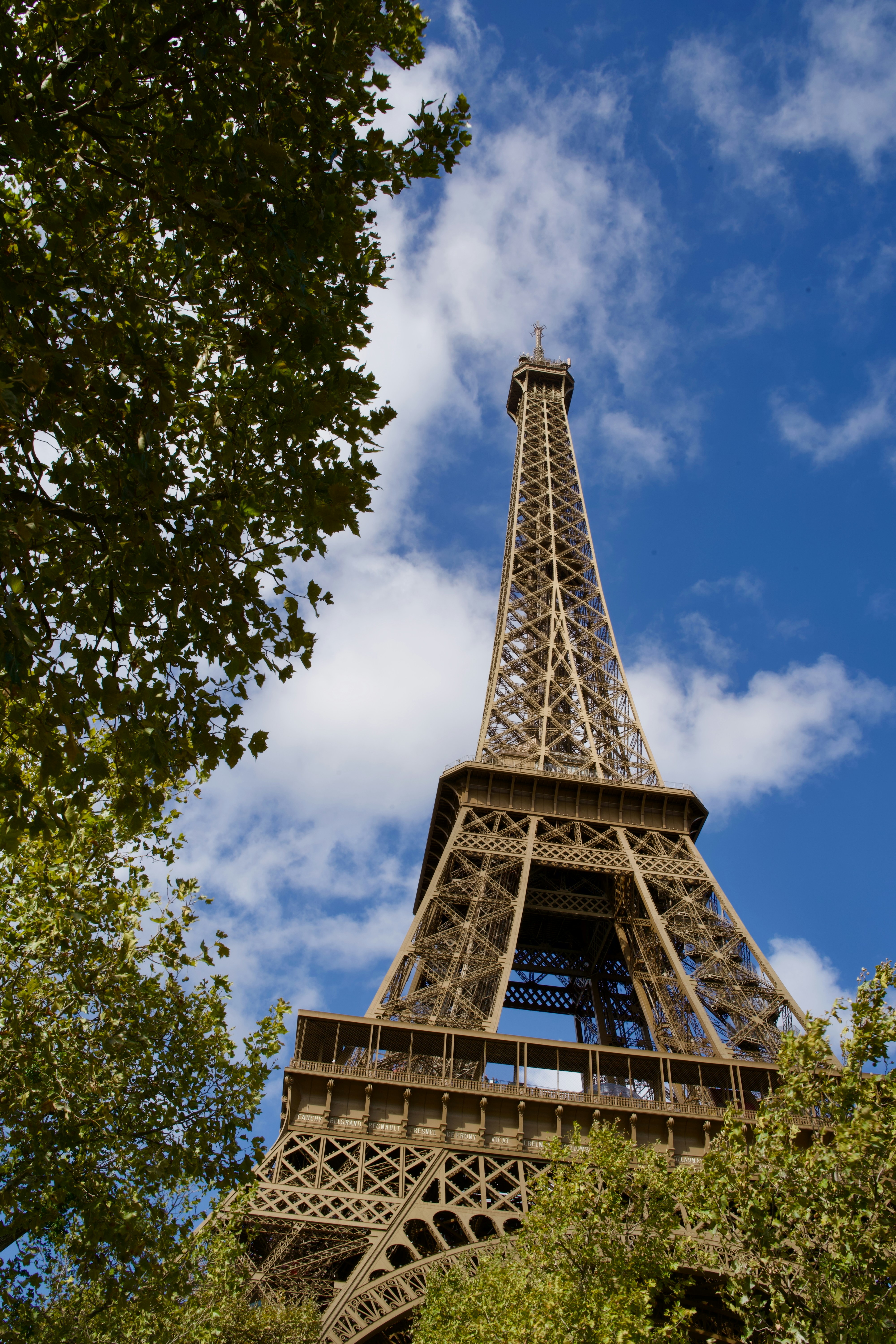 Eiffel Tower | The eiffel tower framed by green trees and blue sky.