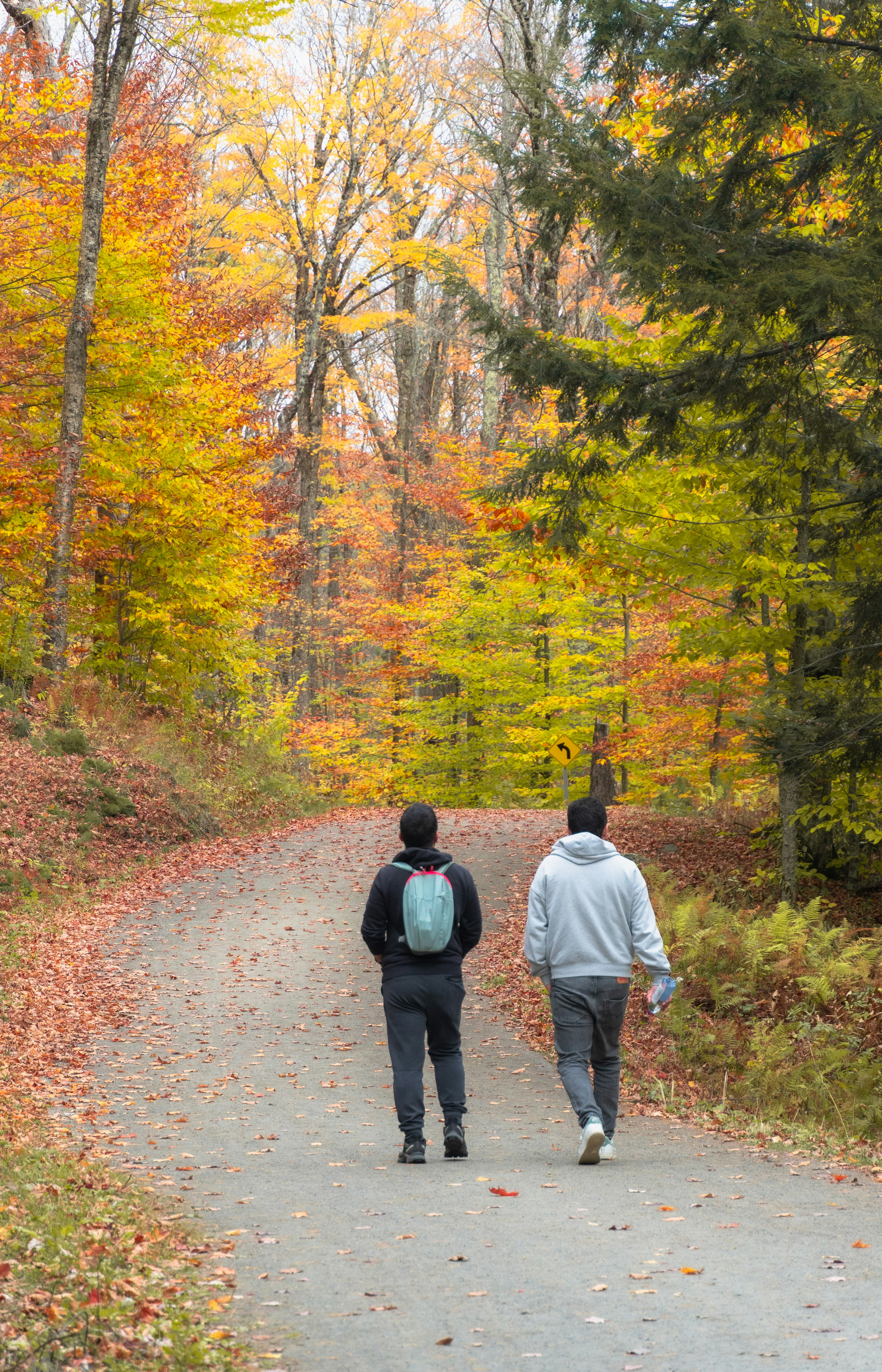 Deux personnes marchant sur un chemin à travers la forêt d’automne ...
