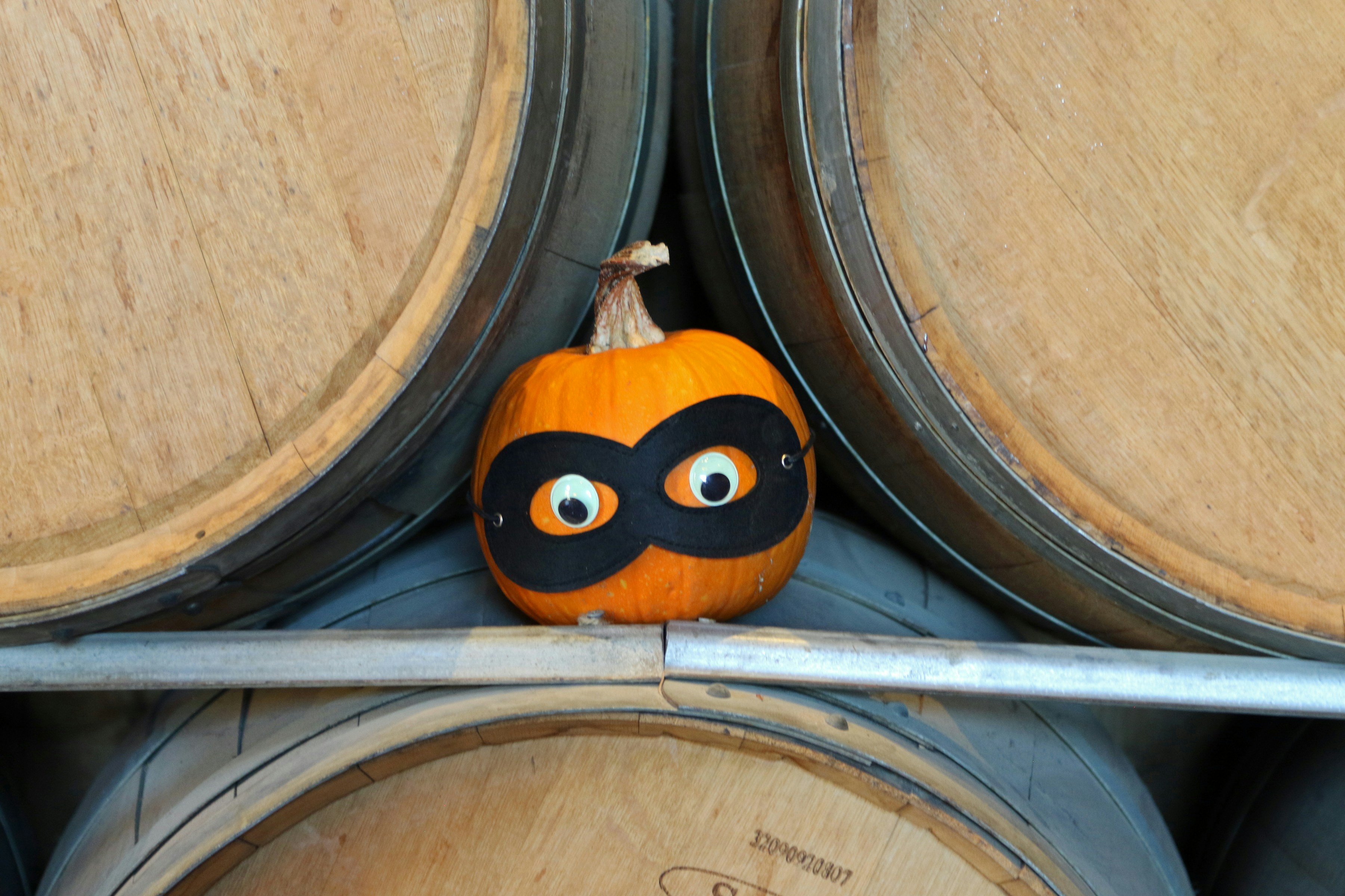 Masked Mischief: A Pumpkin's Playful Disguise
