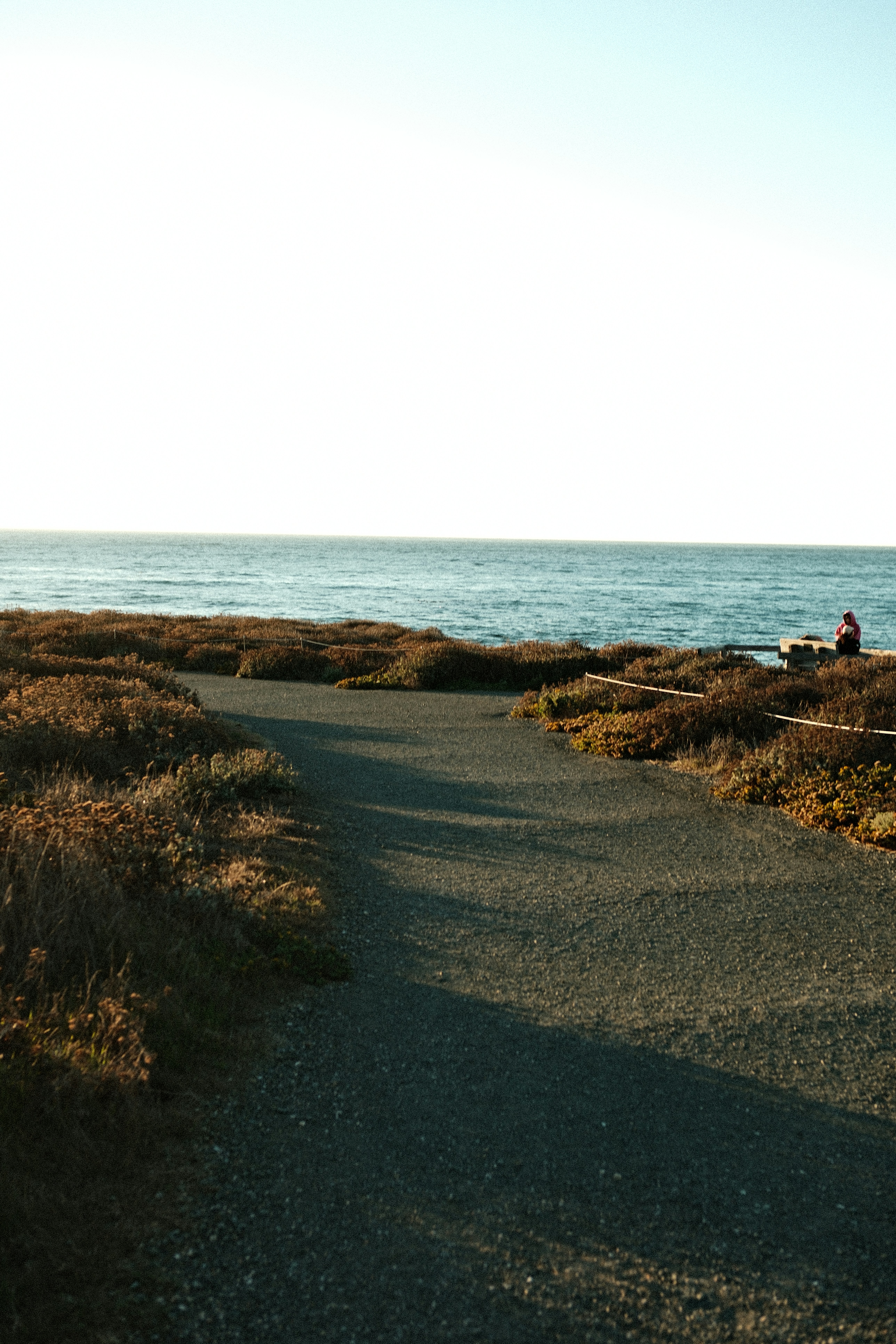 Coastal Pathway to Serenity