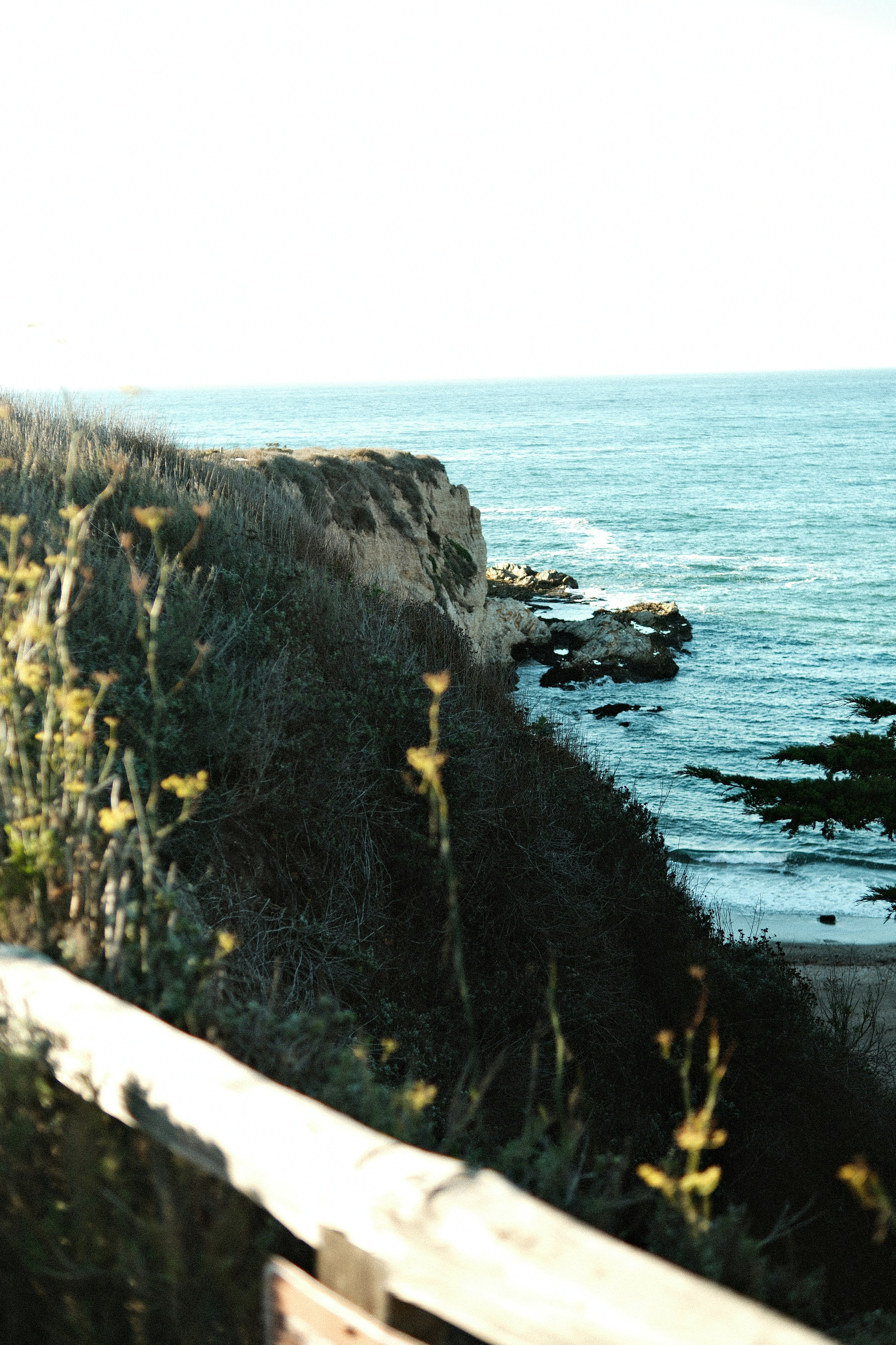 Photo by Jacob Padilla with Fujifilm X-T5