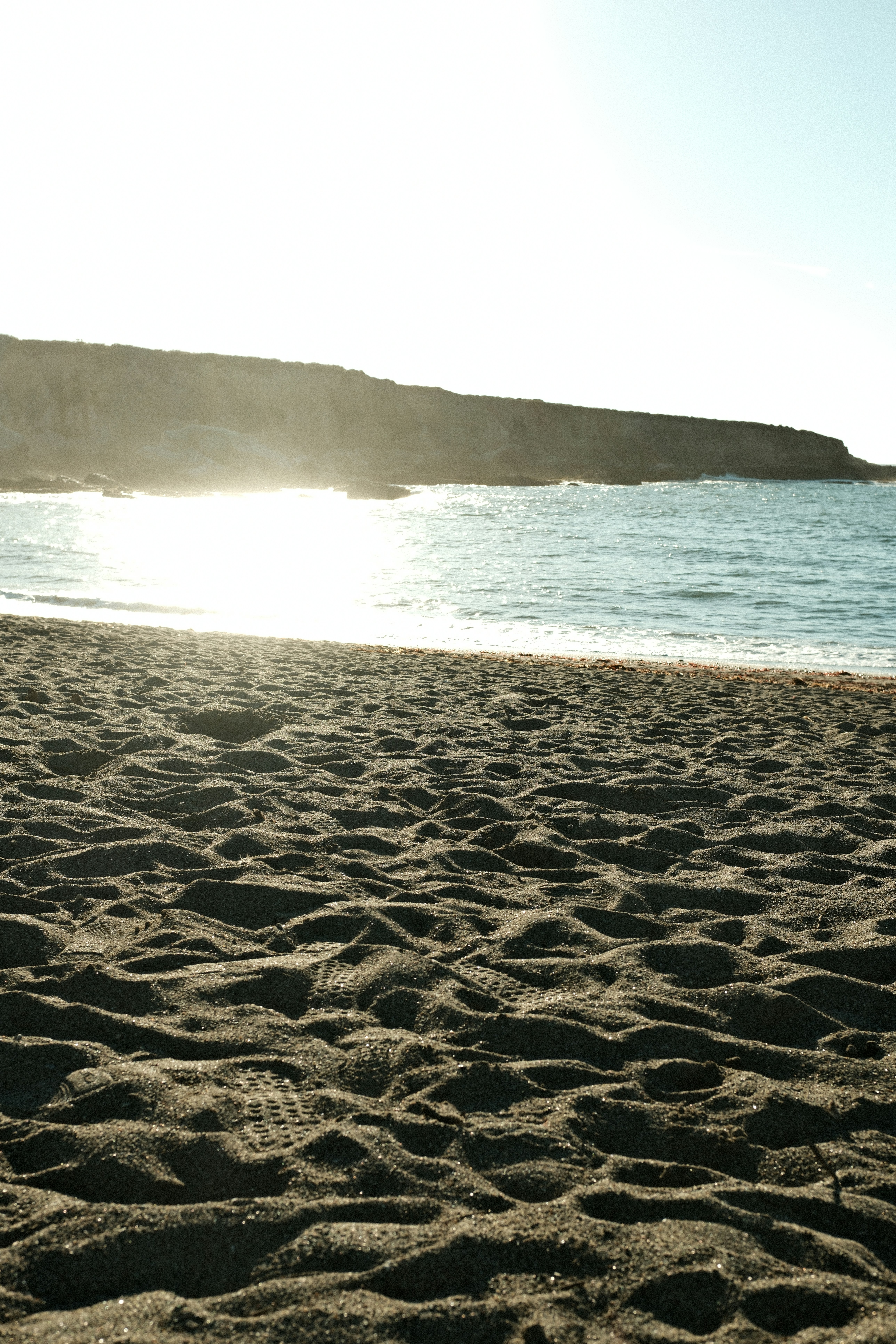 Whispers of the Shoreline