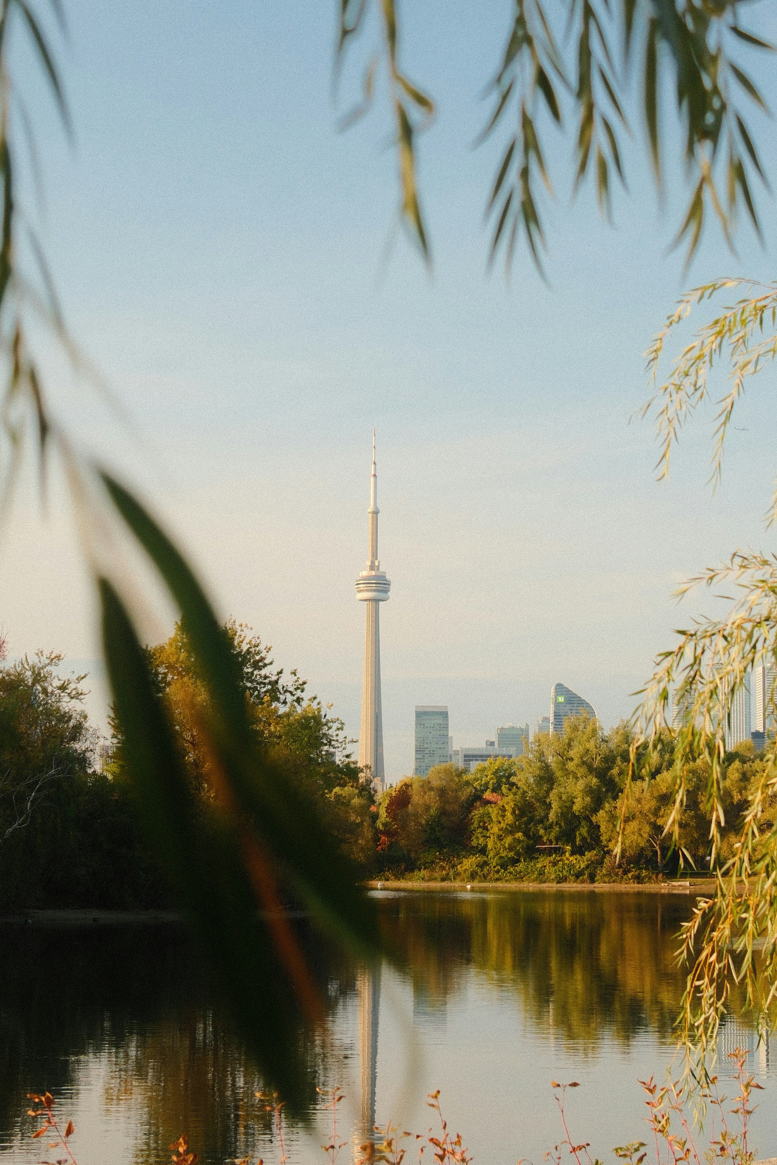 The CN Tower rises above the city skyline, framed by lush greenery and reflections on the calm water surface.