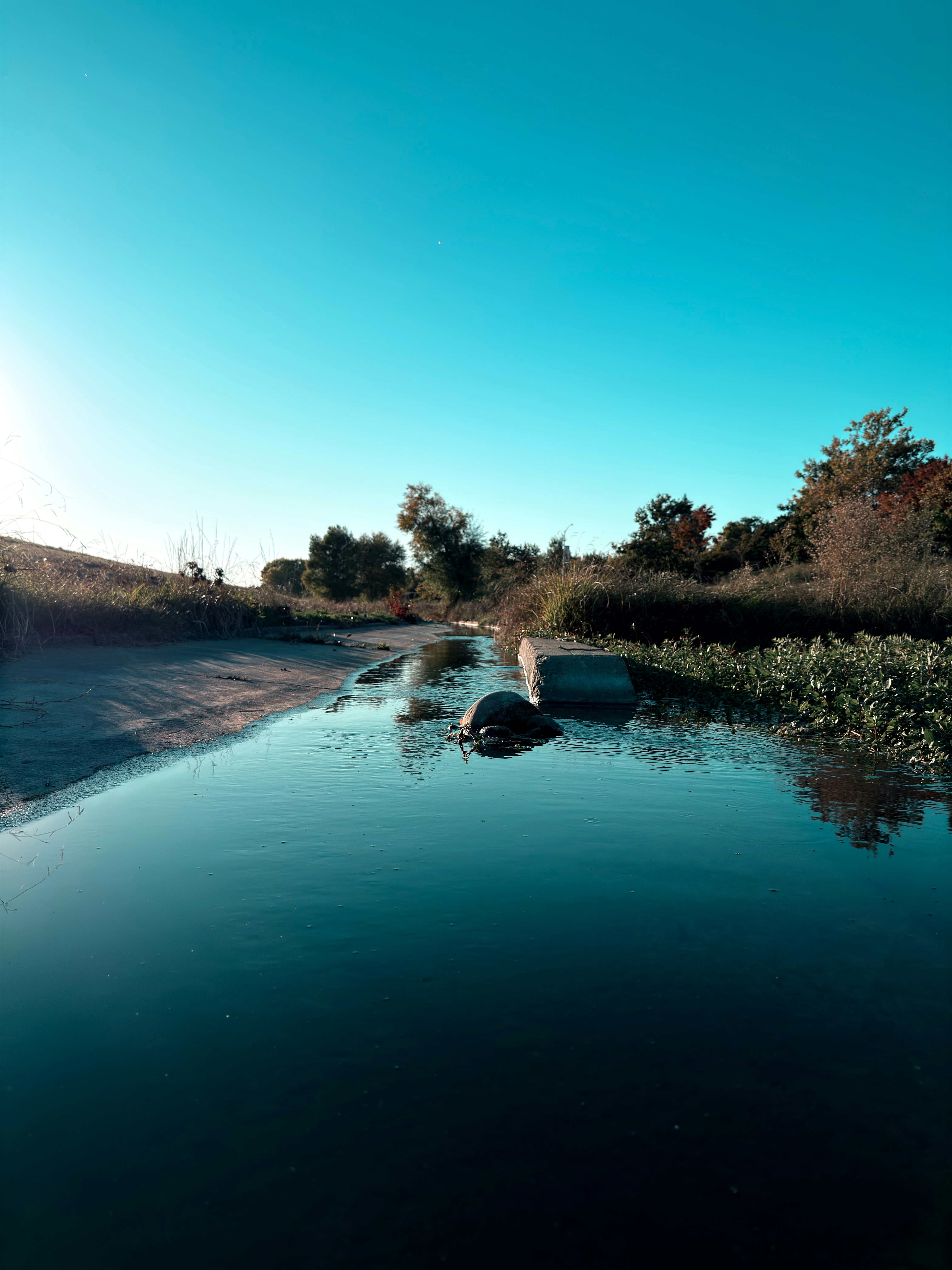 Reflections of Serenity in Nature's Canvas
