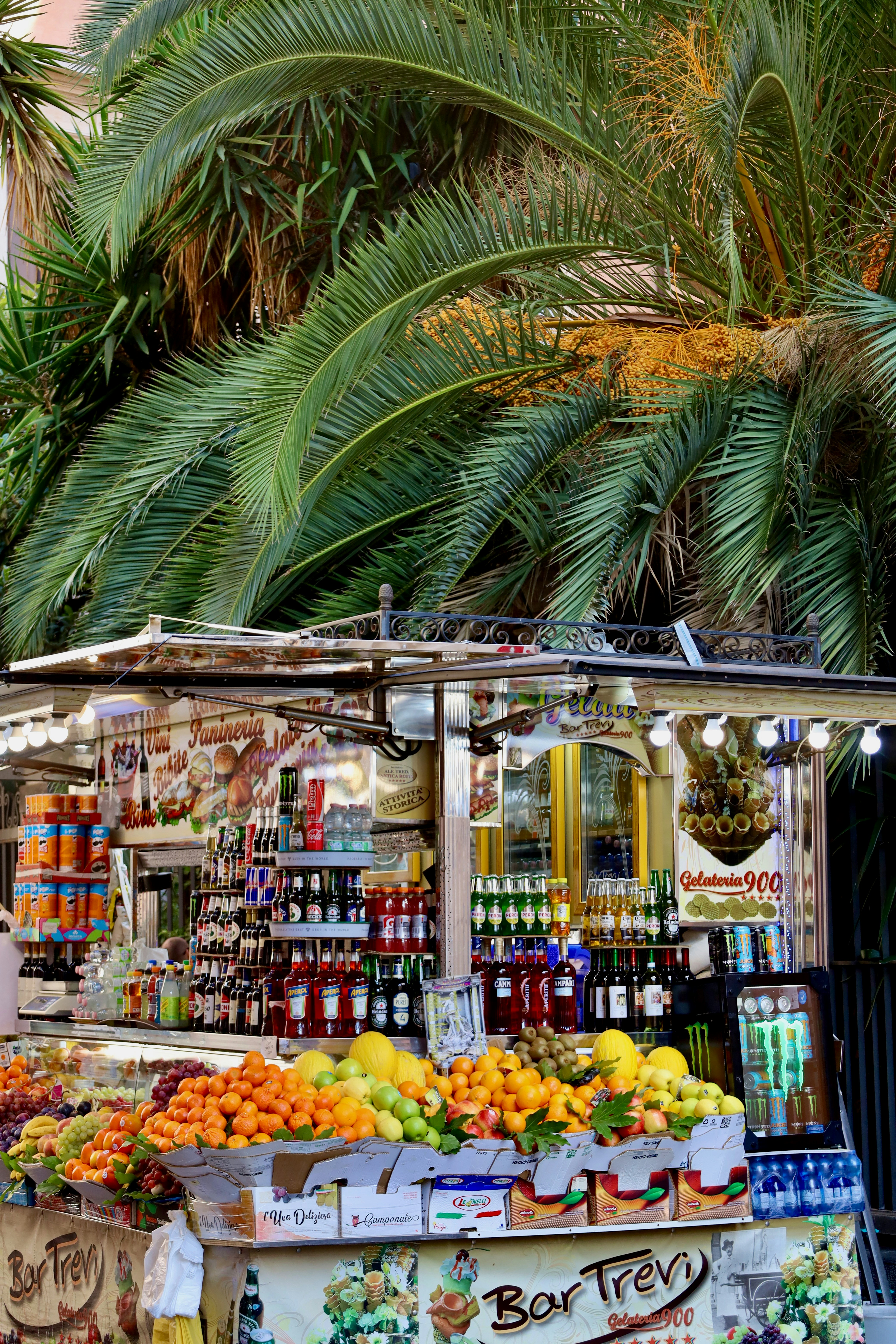 Vibrant Market Oasis Amidst Lush Palms