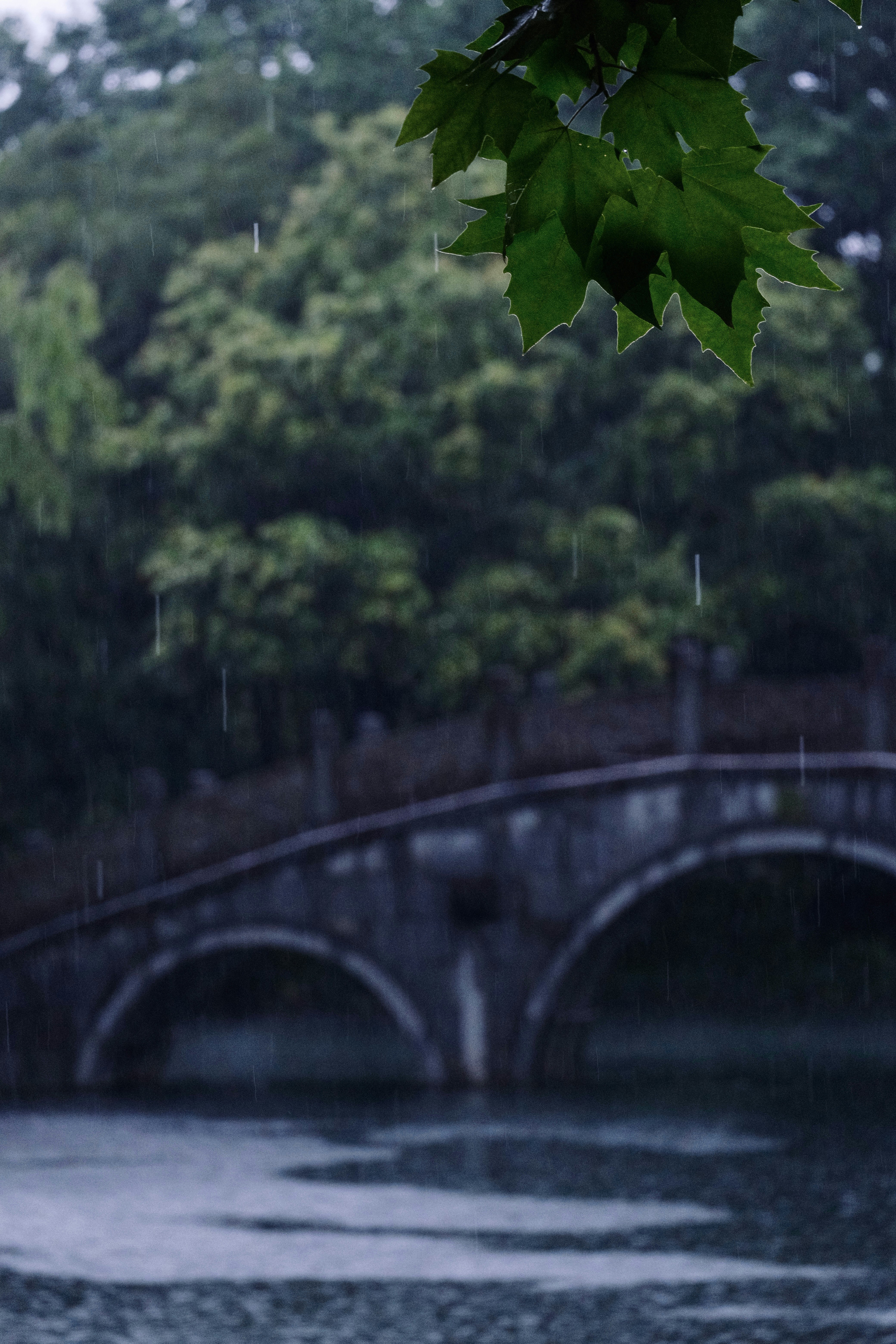 Whispers of Rain Beneath the Arch