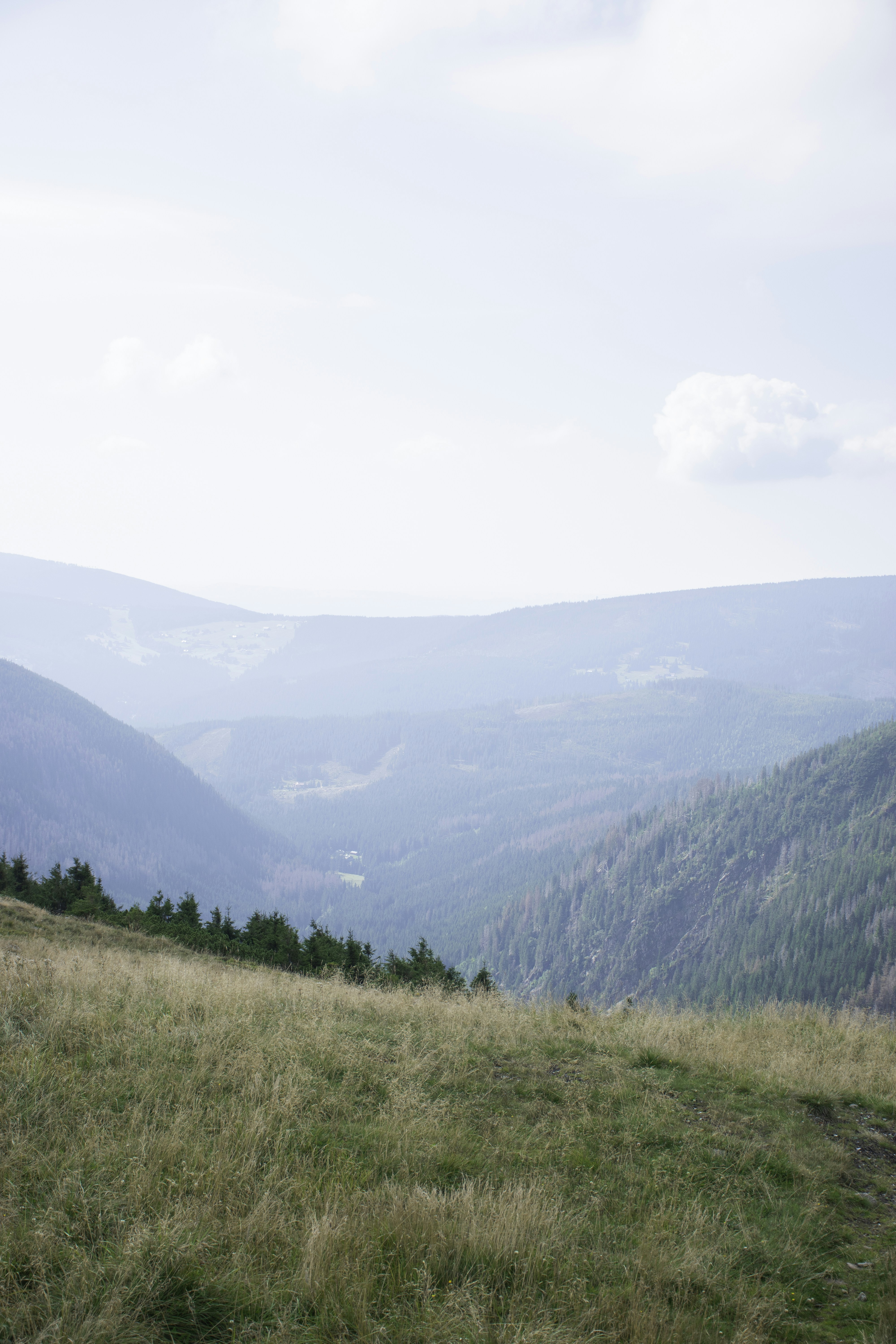 Whispers of the Mountain Valley