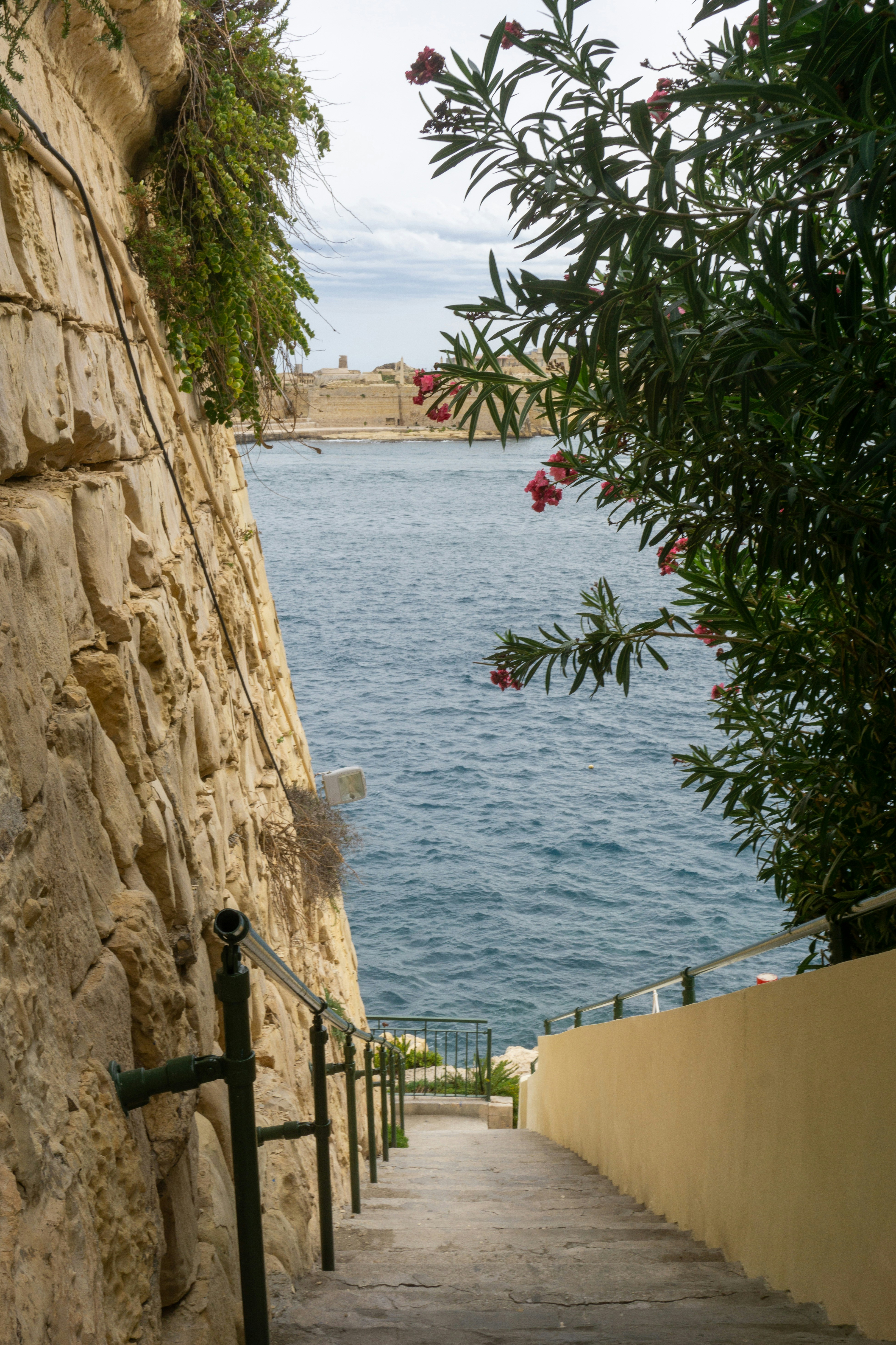 Steps to Serenity: A Coastal Descent