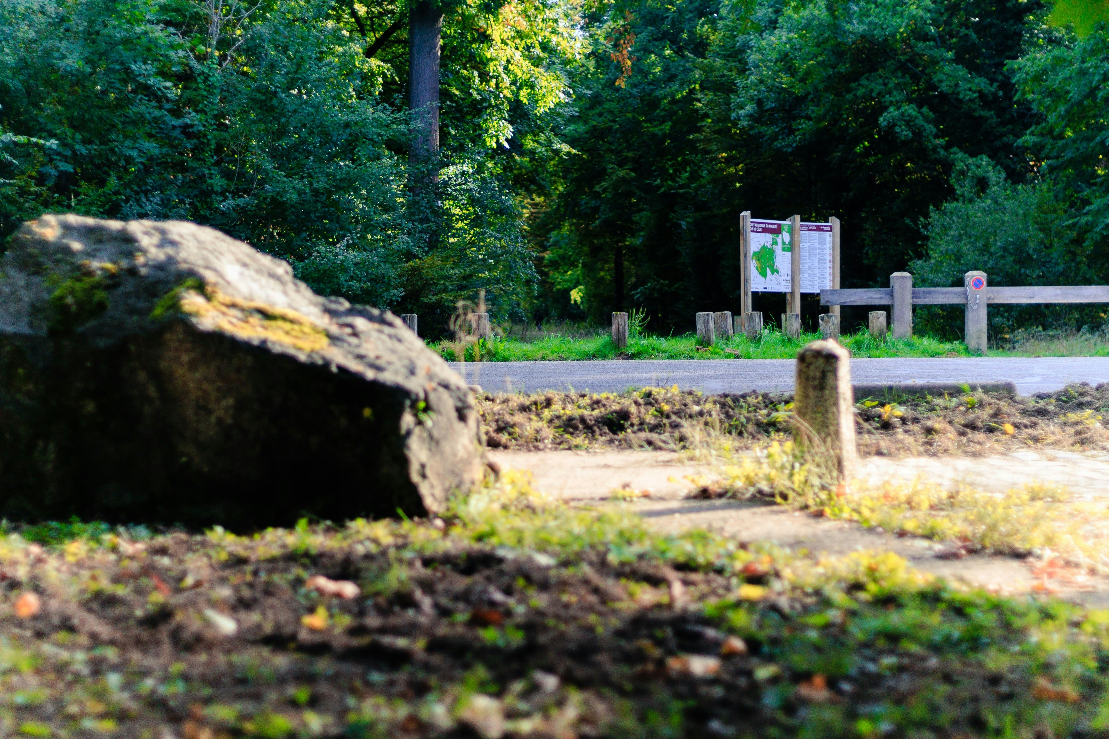 Large rock and wooden fence in a forest clearing.