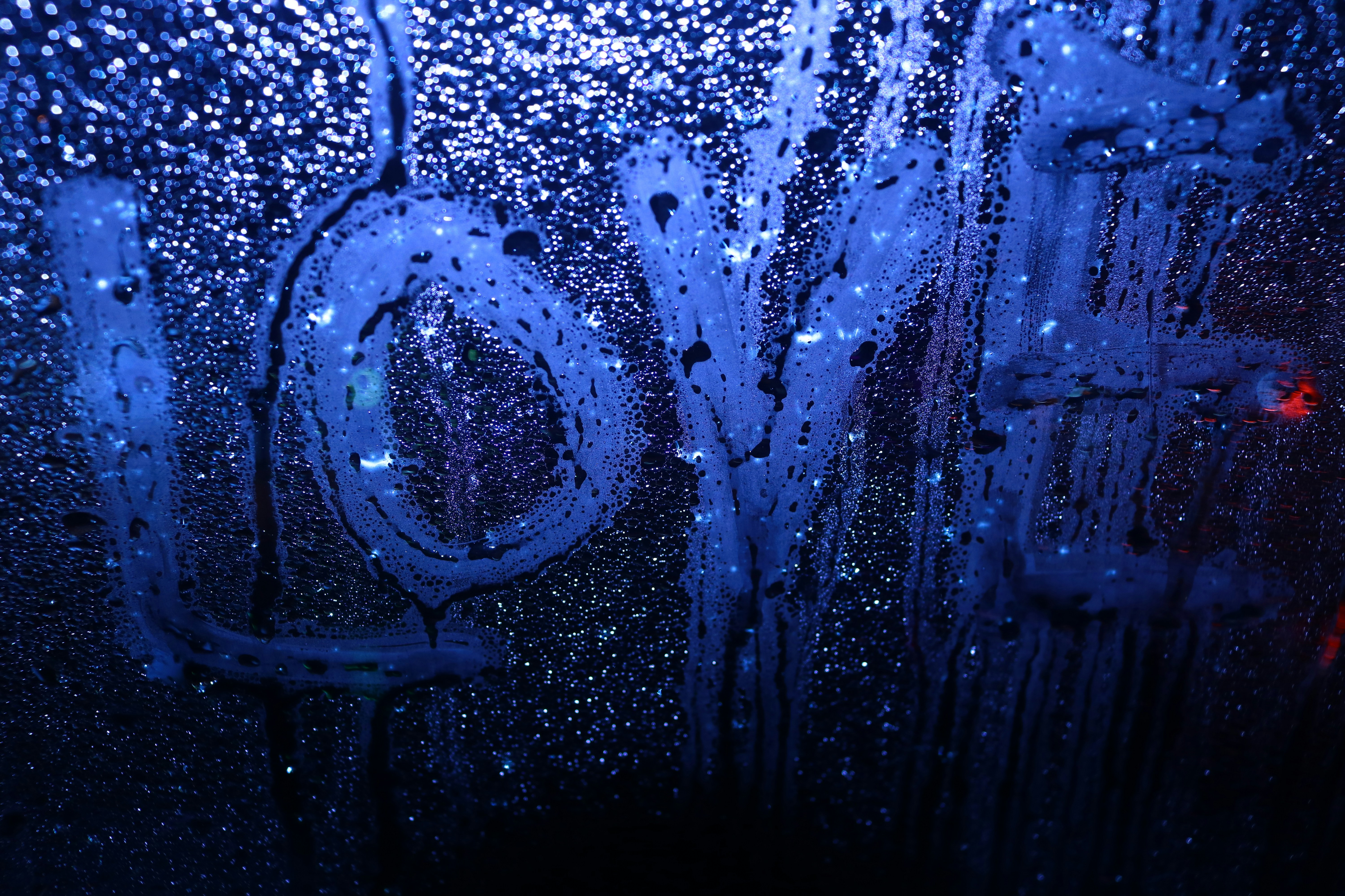 Whispers of Affection Through the Glass