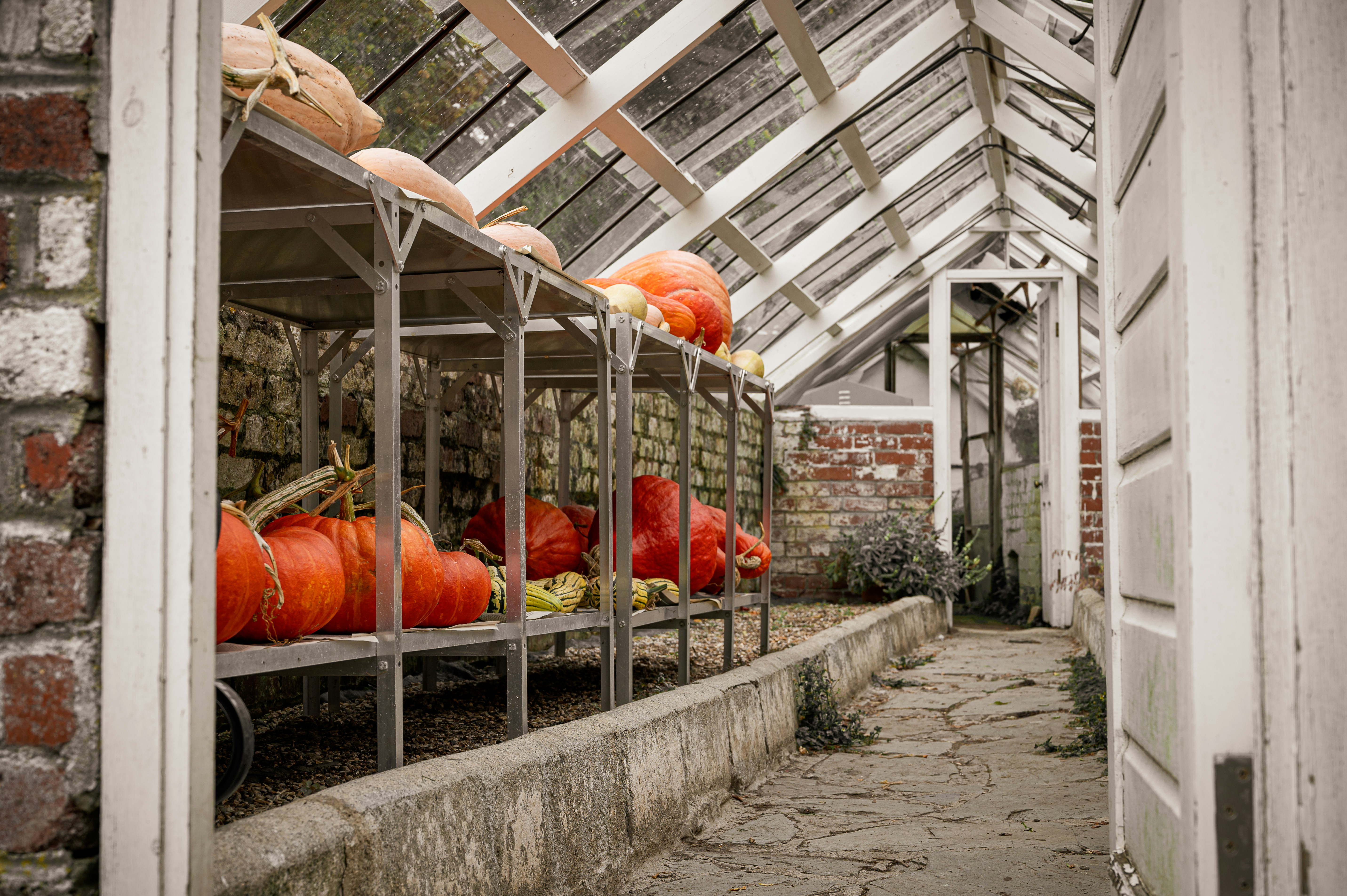 Harvest Haven: A Glimpse into Autumn's Bounty