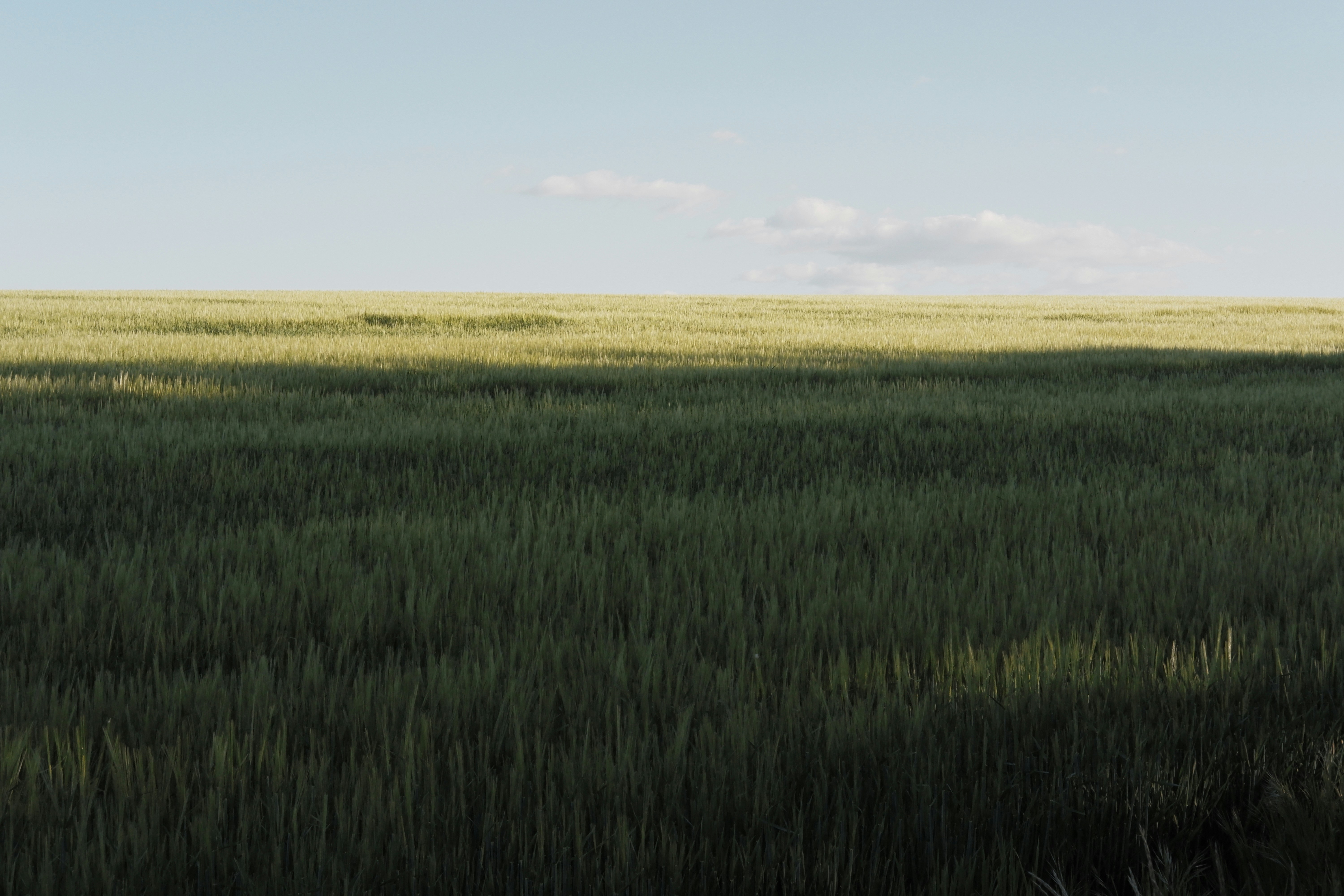 Photo by Pavlo Bieliaiev with Fujifilm X-T100