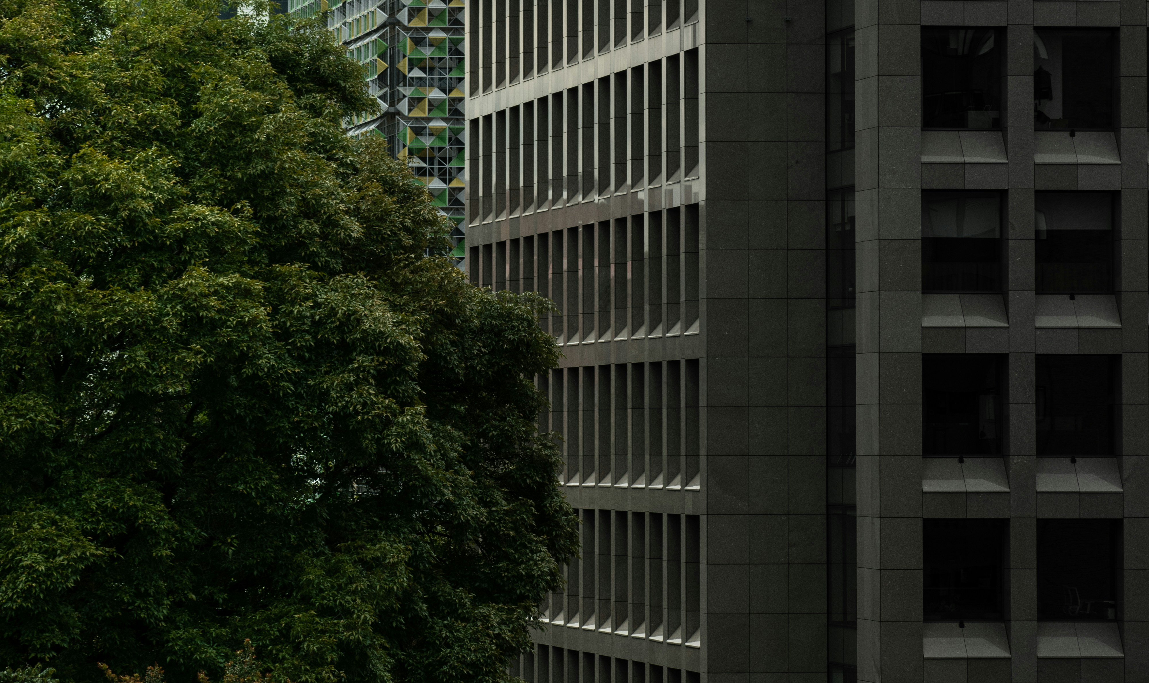 Tall buildings and lush green trees in a city