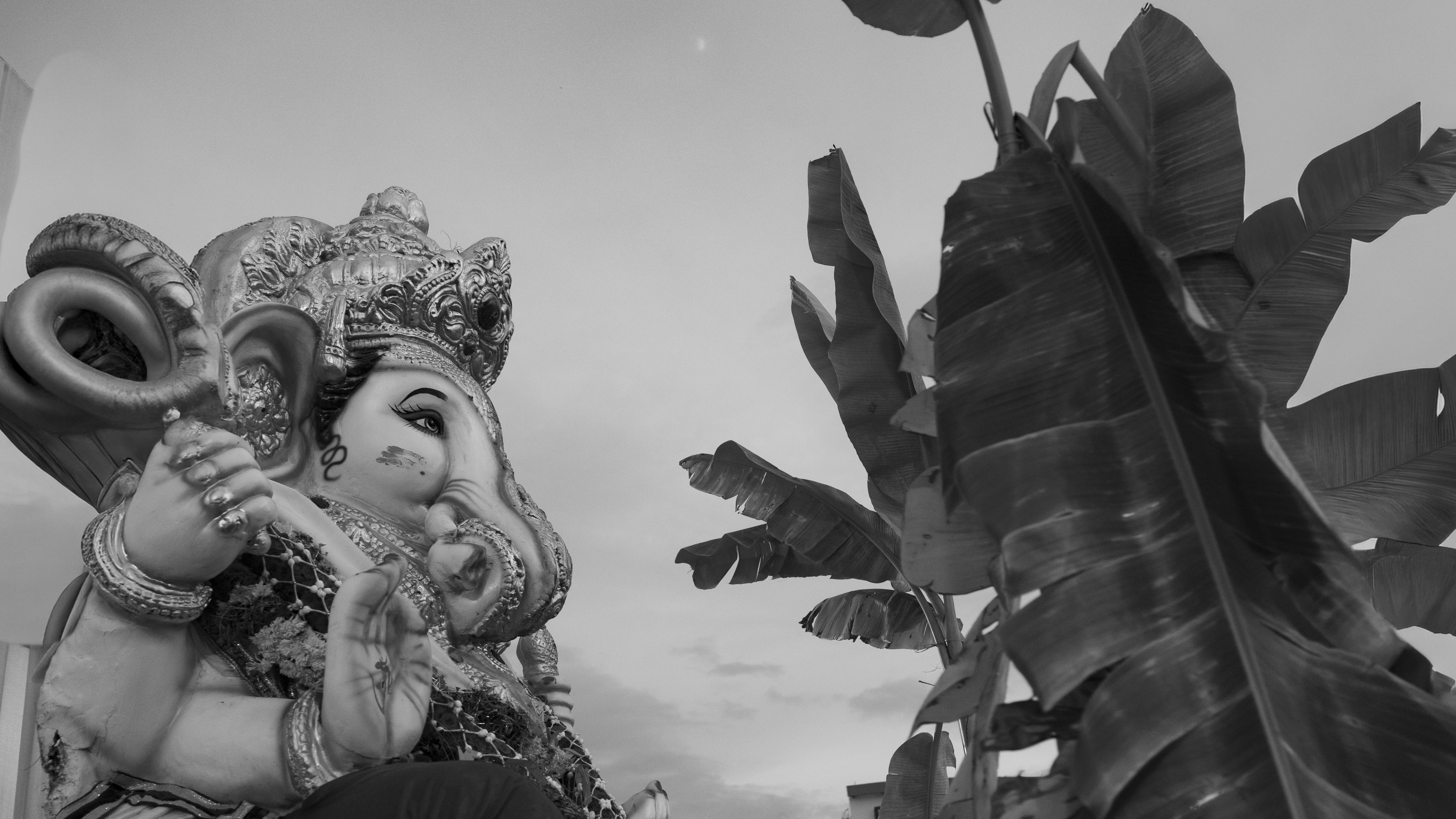 Divine Presence Amidst Nature's Embrace