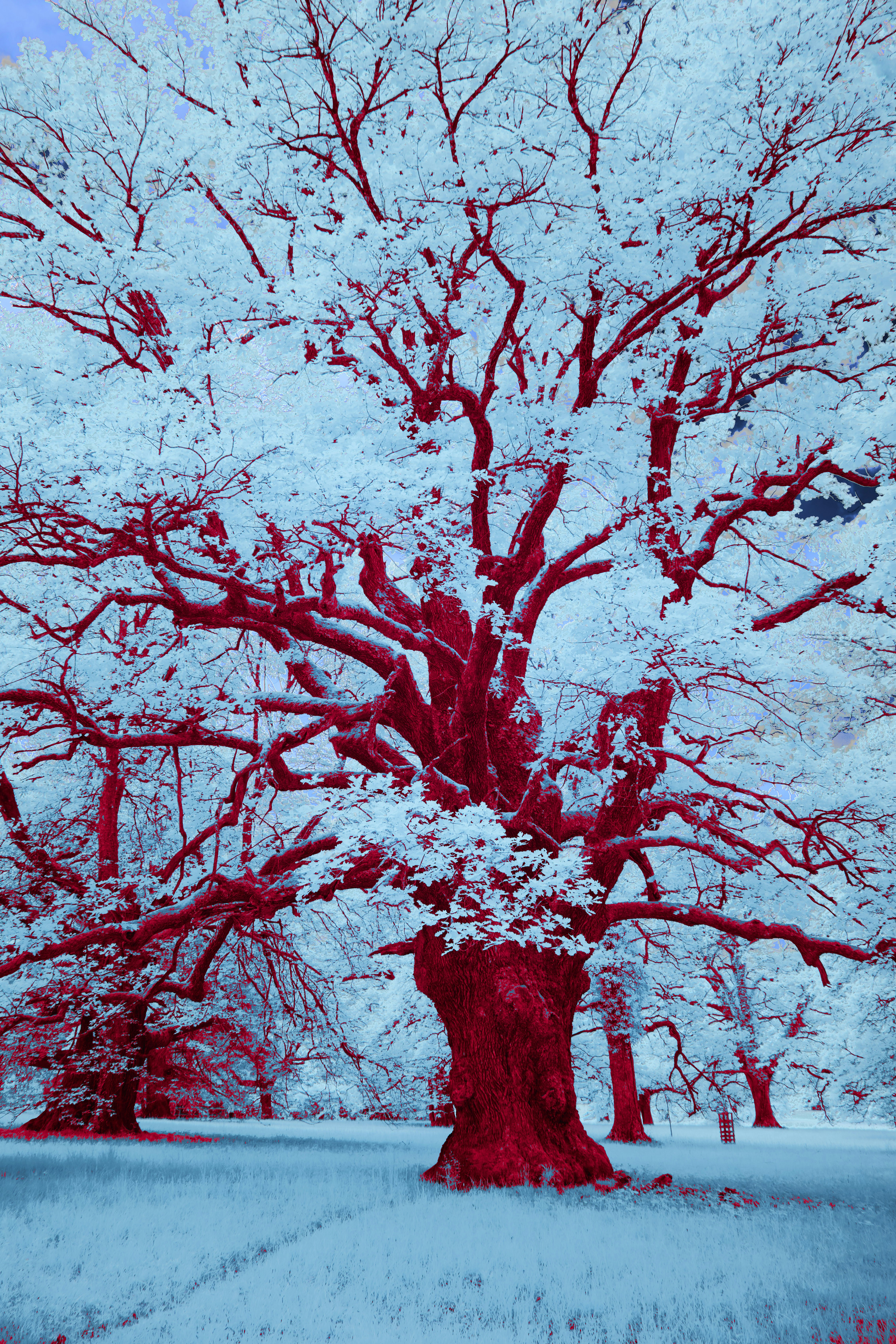 Crimson Arboreal Sentinel Against a Cyan Forest