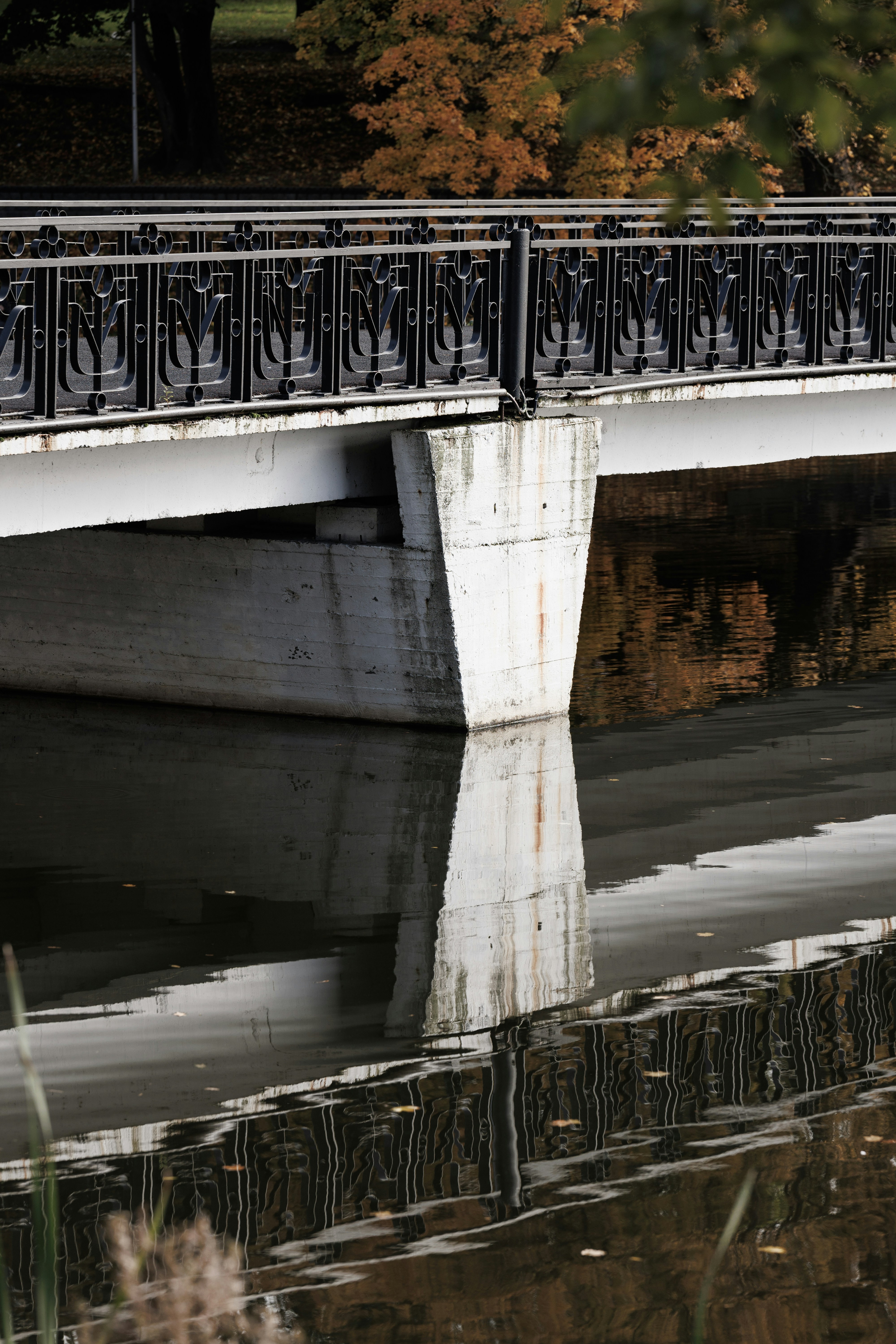Reflections of Tranquility: A Bridge's Silent Dialogue with Water