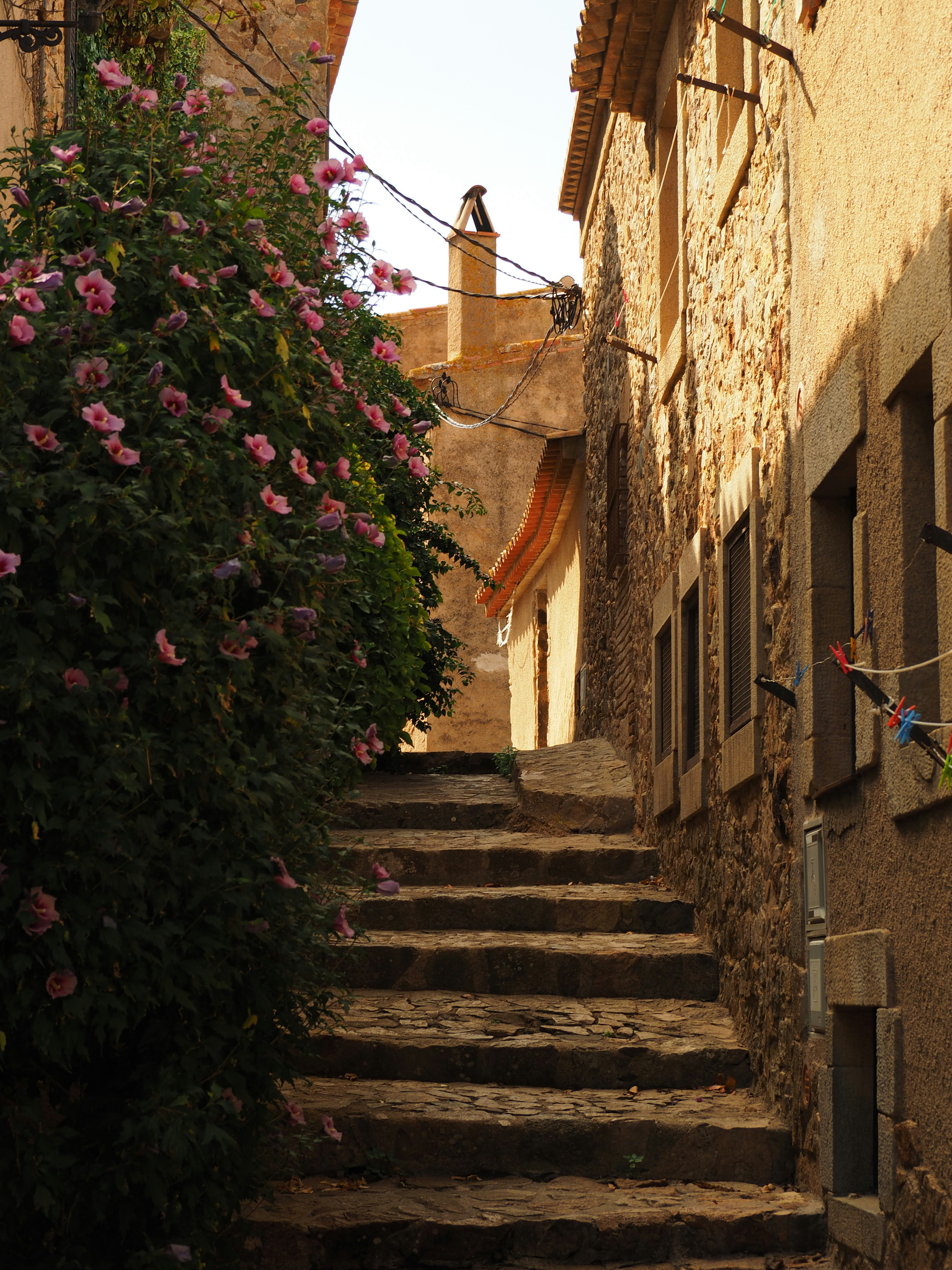 Charming stone staircase flanked by vibrant pink flowers, leading through a narrow alleyway in an old village. The warm light enhances the rustic textures of the buildings.