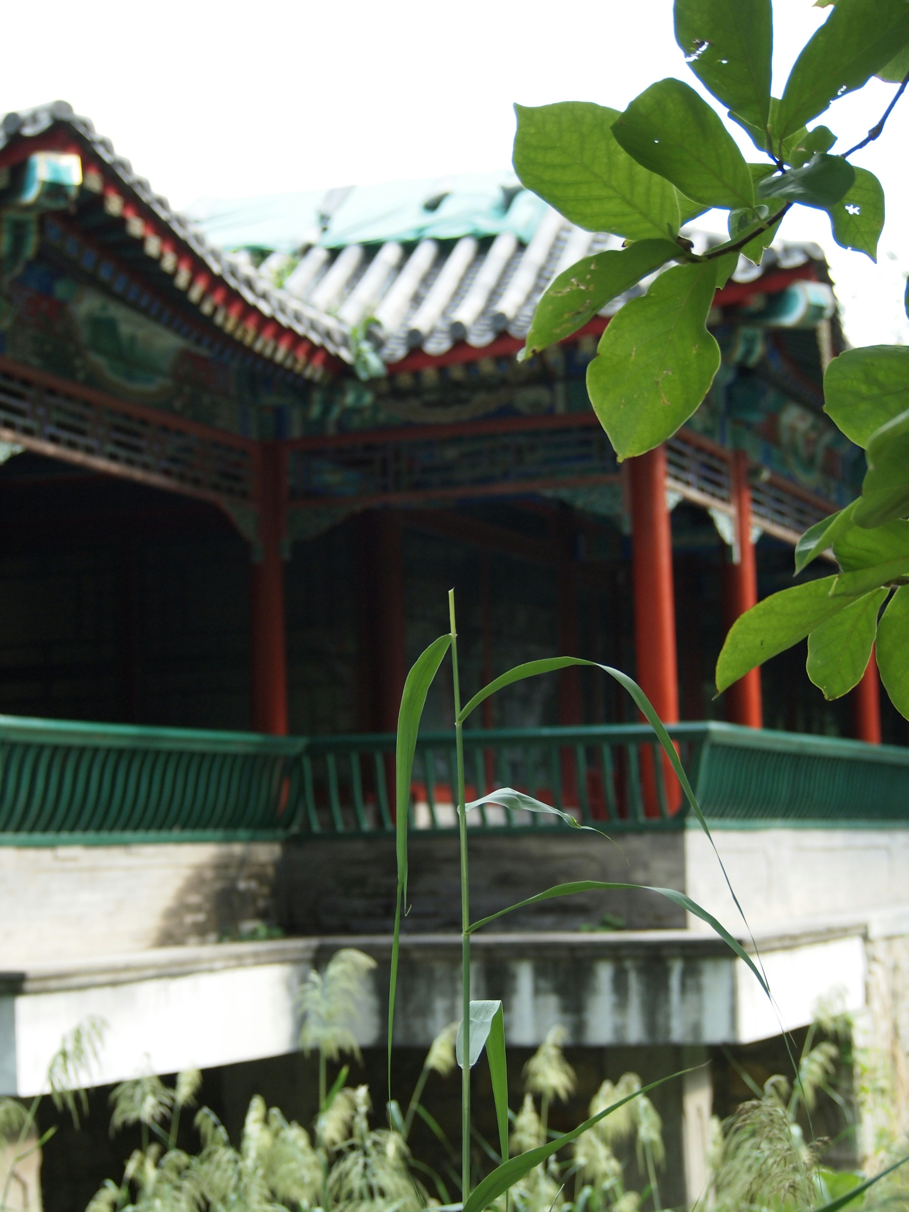 Whispers of Tradition Amidst Nature's Embrace