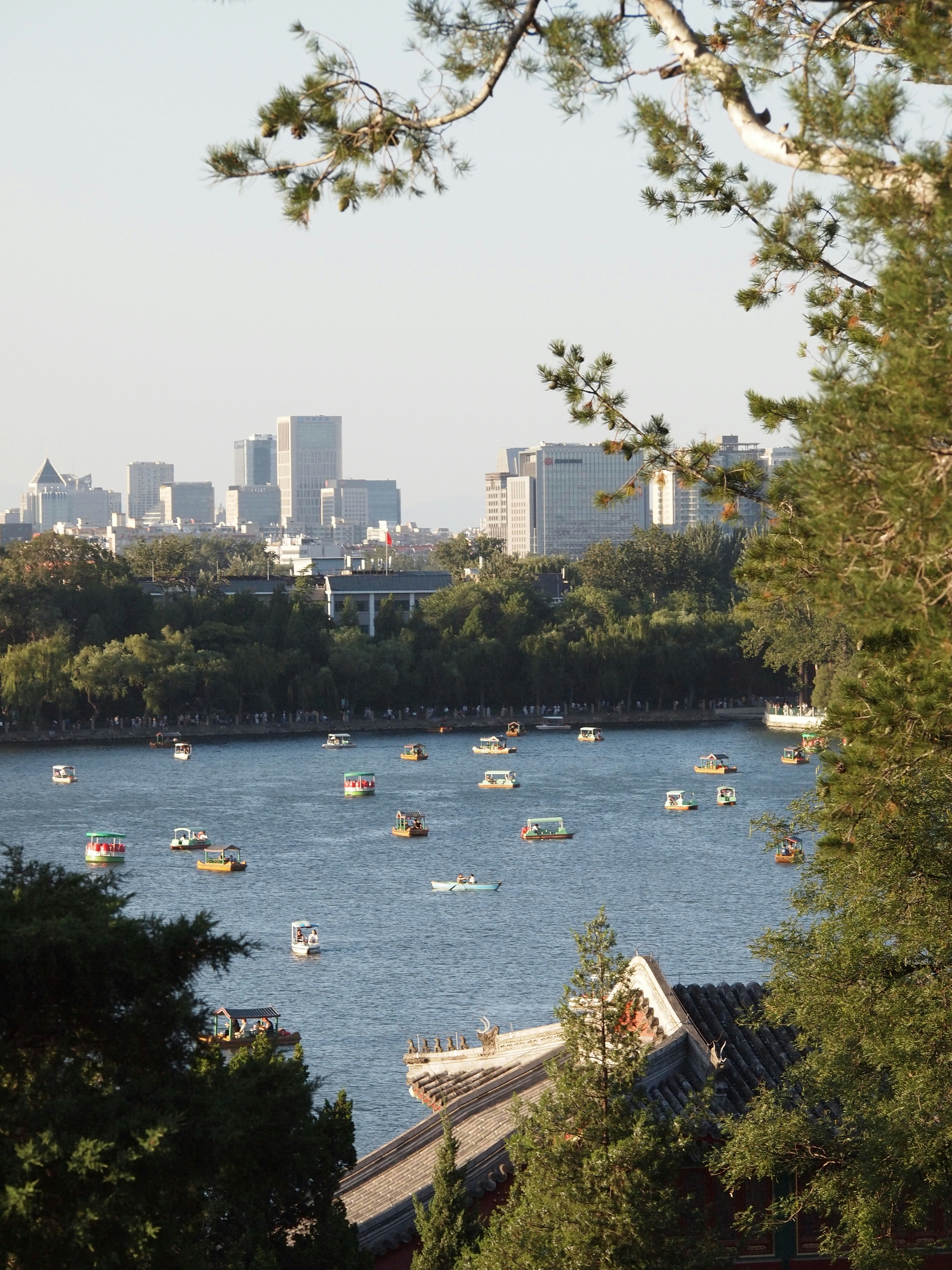 Urban Serenity: A Glimpse of Leisure on the Water