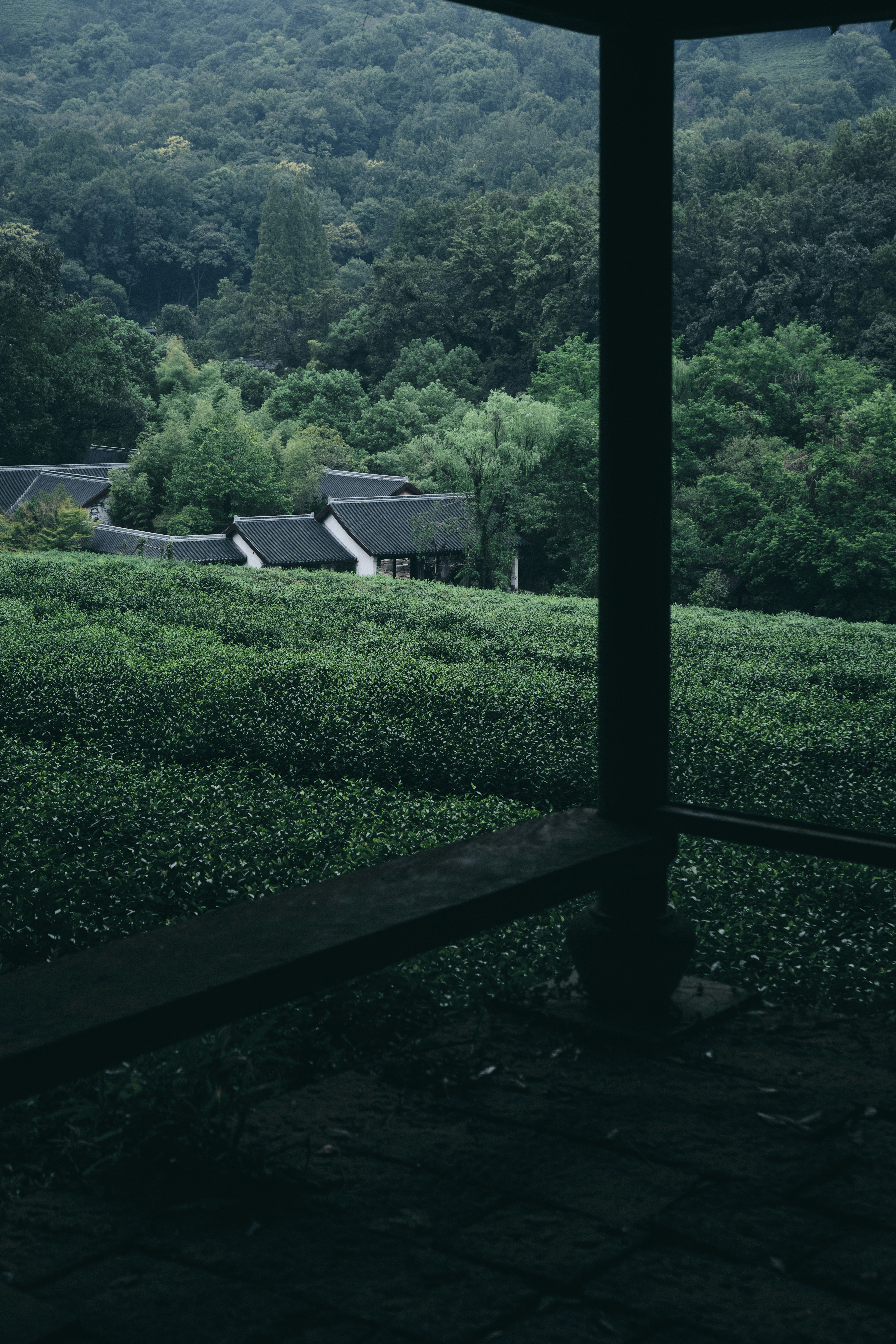 Lush green tea fields stretch beneath a tranquil pavilion, revealing traditional architecture nestled among the trees. A peaceful scene invites contemplation.