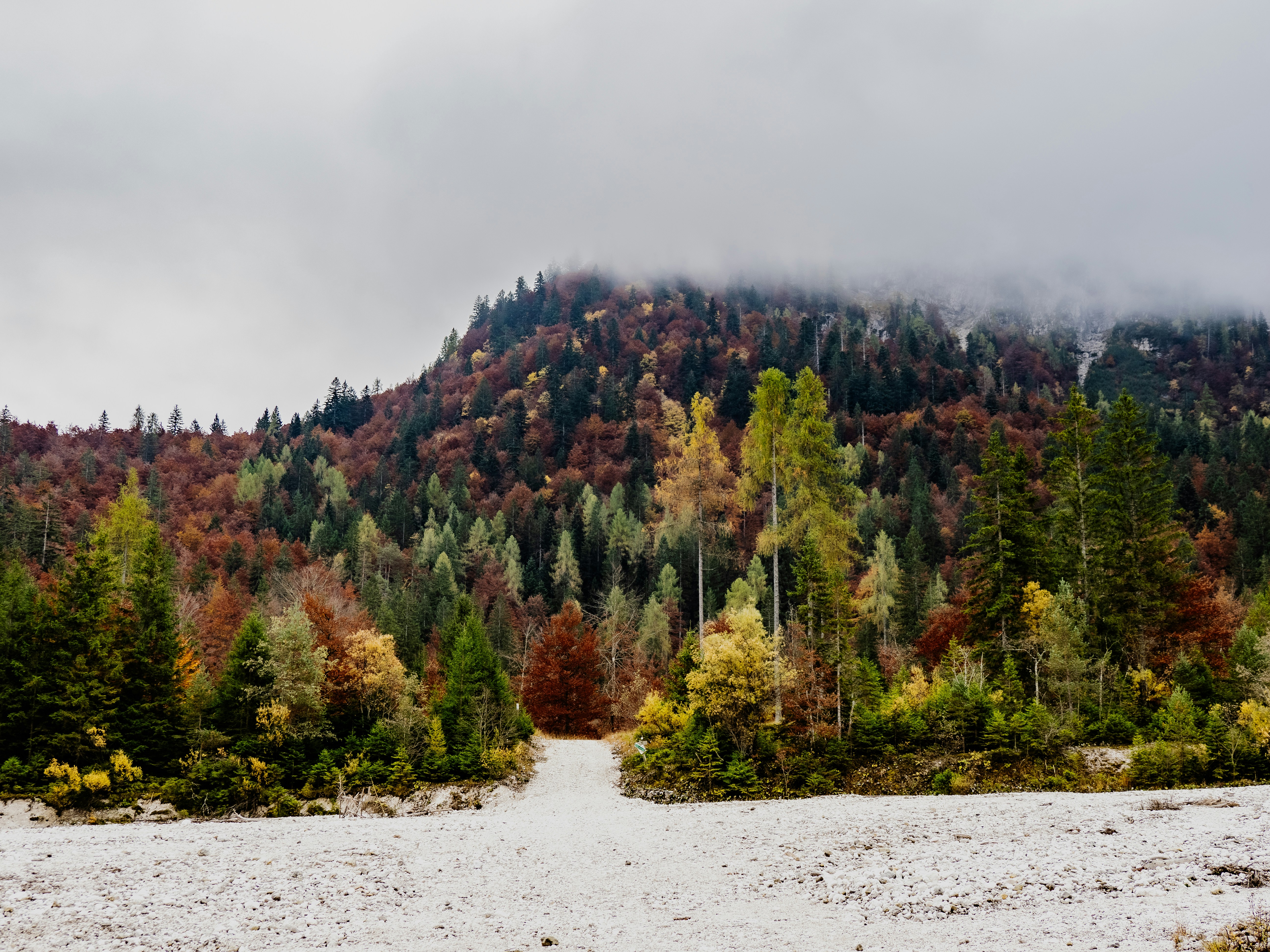 Photo by Diego Romeo with OM System OM-1