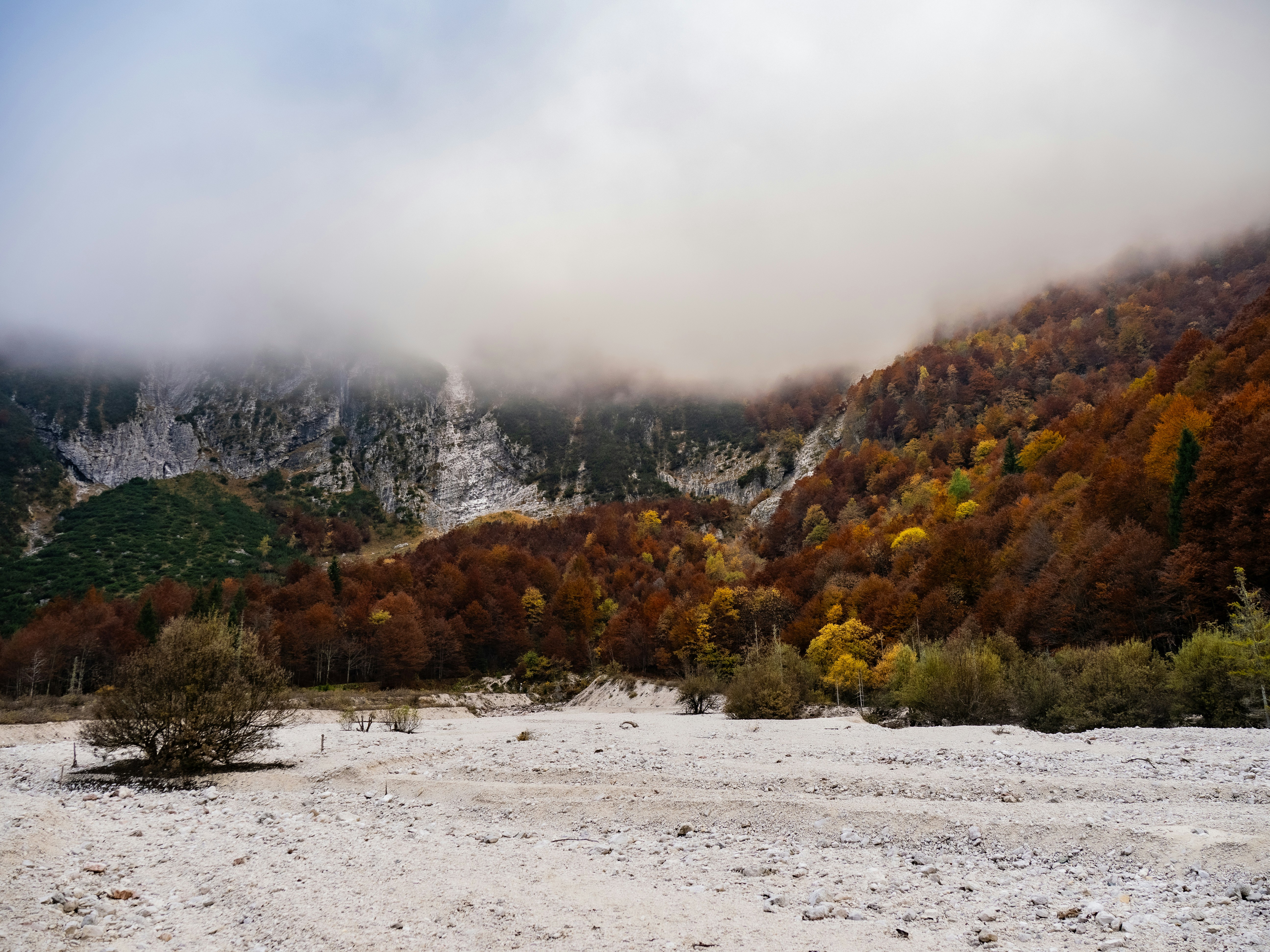 Autumn Radiance Clings to Snow-Kissed Foothills Beneath a Quiet Fog