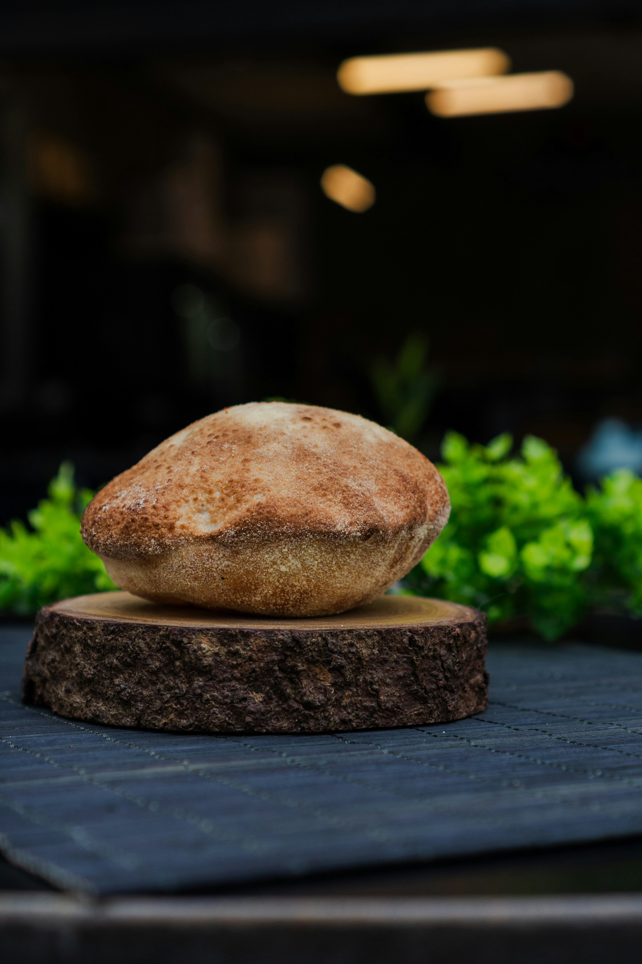 Photo by Rodrigo Rodrigues | WOLF Λ R T with Sony Alpha 7 III