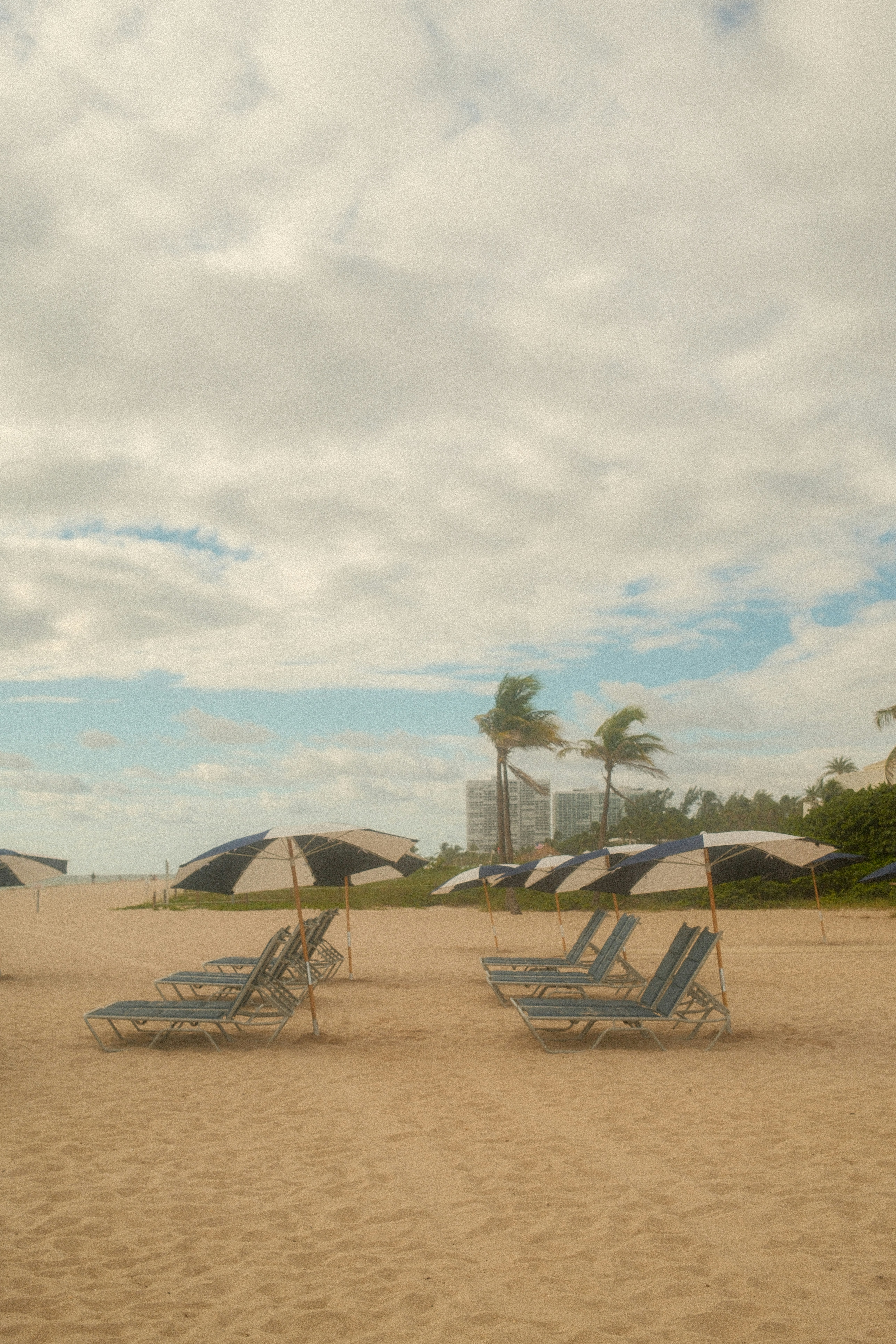 Serenity Under the Umbrellas