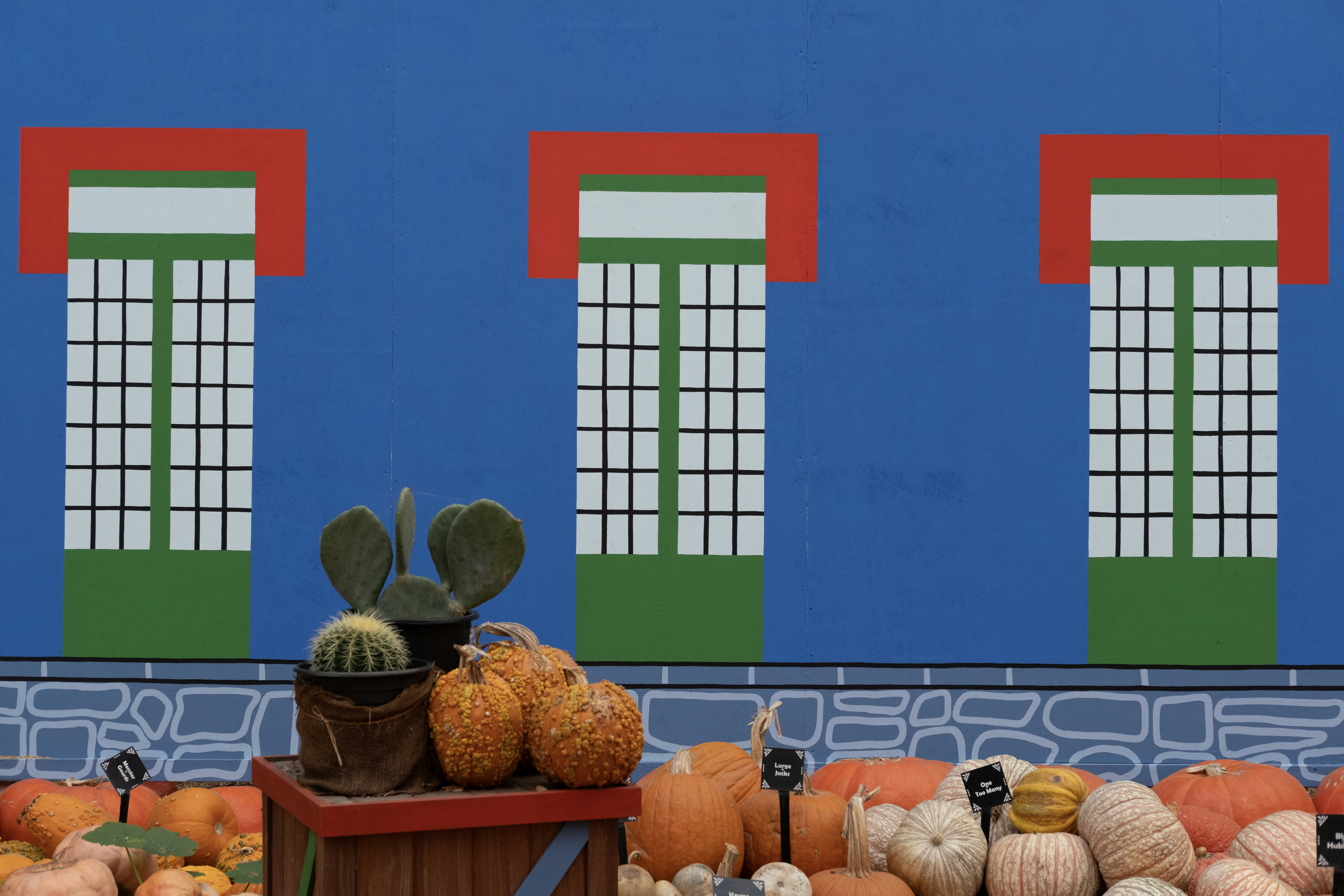 Harvest Harmony: A Colorful Display of Autumn's Bounty