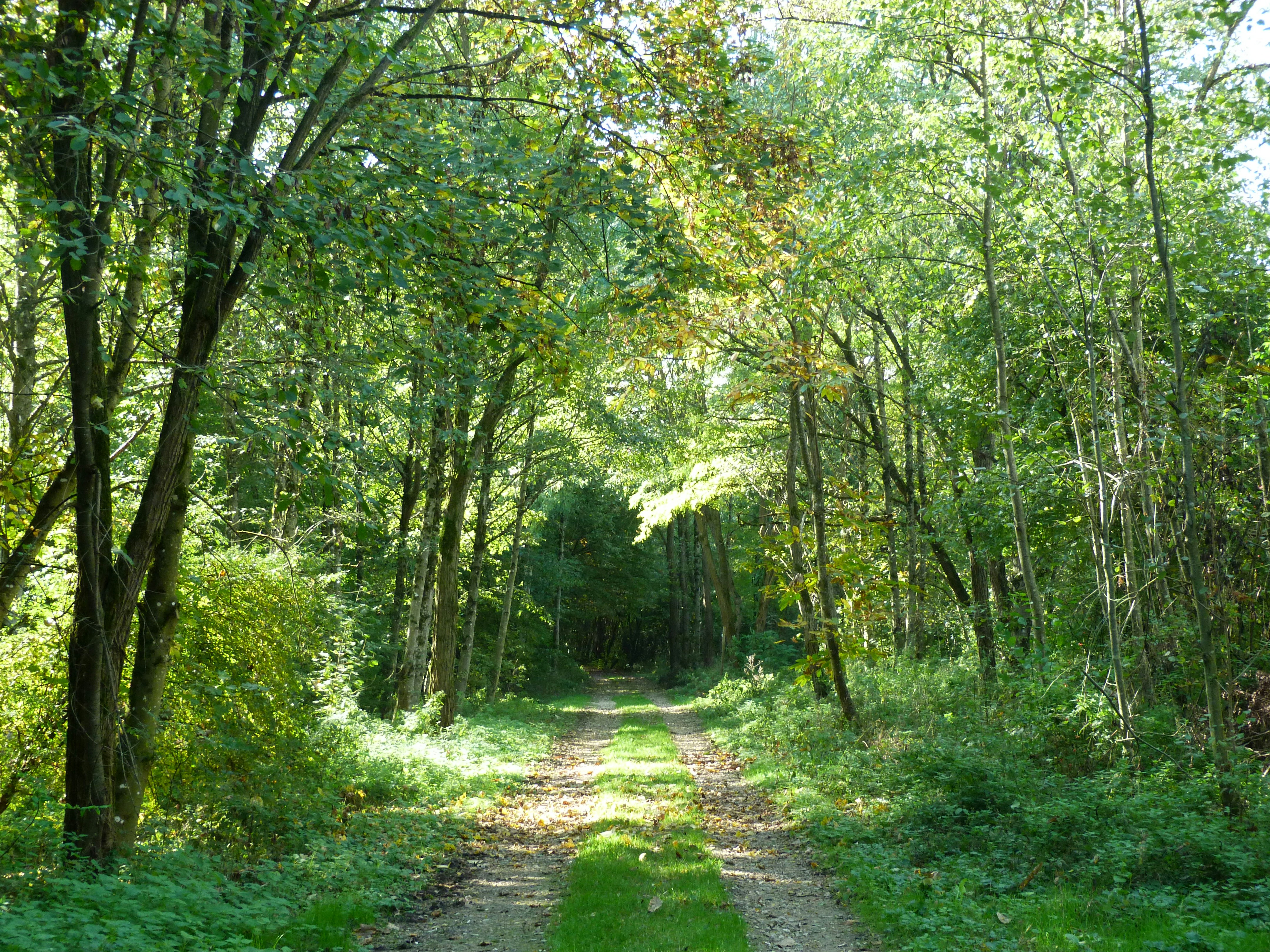 Photo by Katarzyna Bobrowicz with Panasonic Lumix FZ45