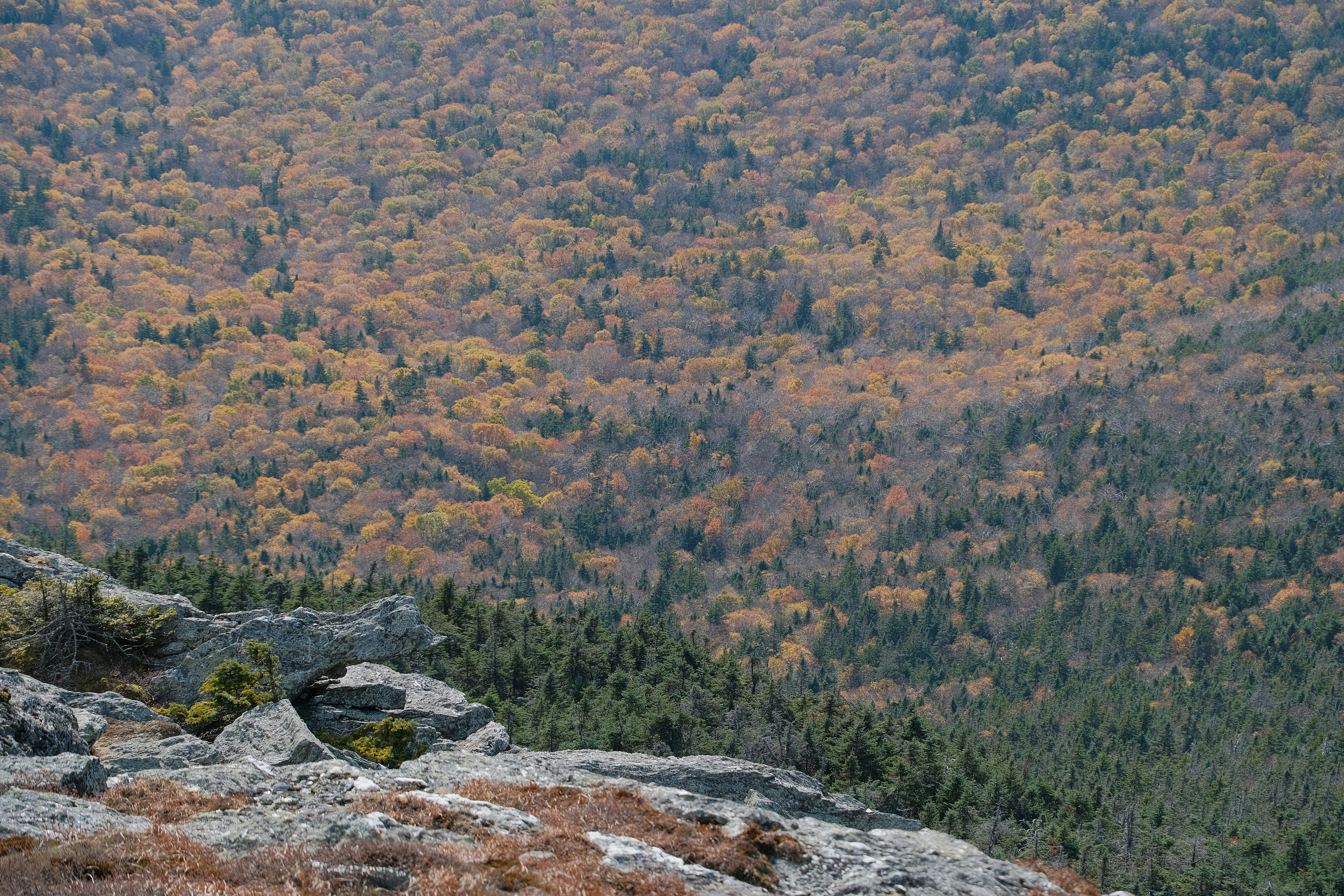 Granite Verge Over a Velvet Autumn Forest