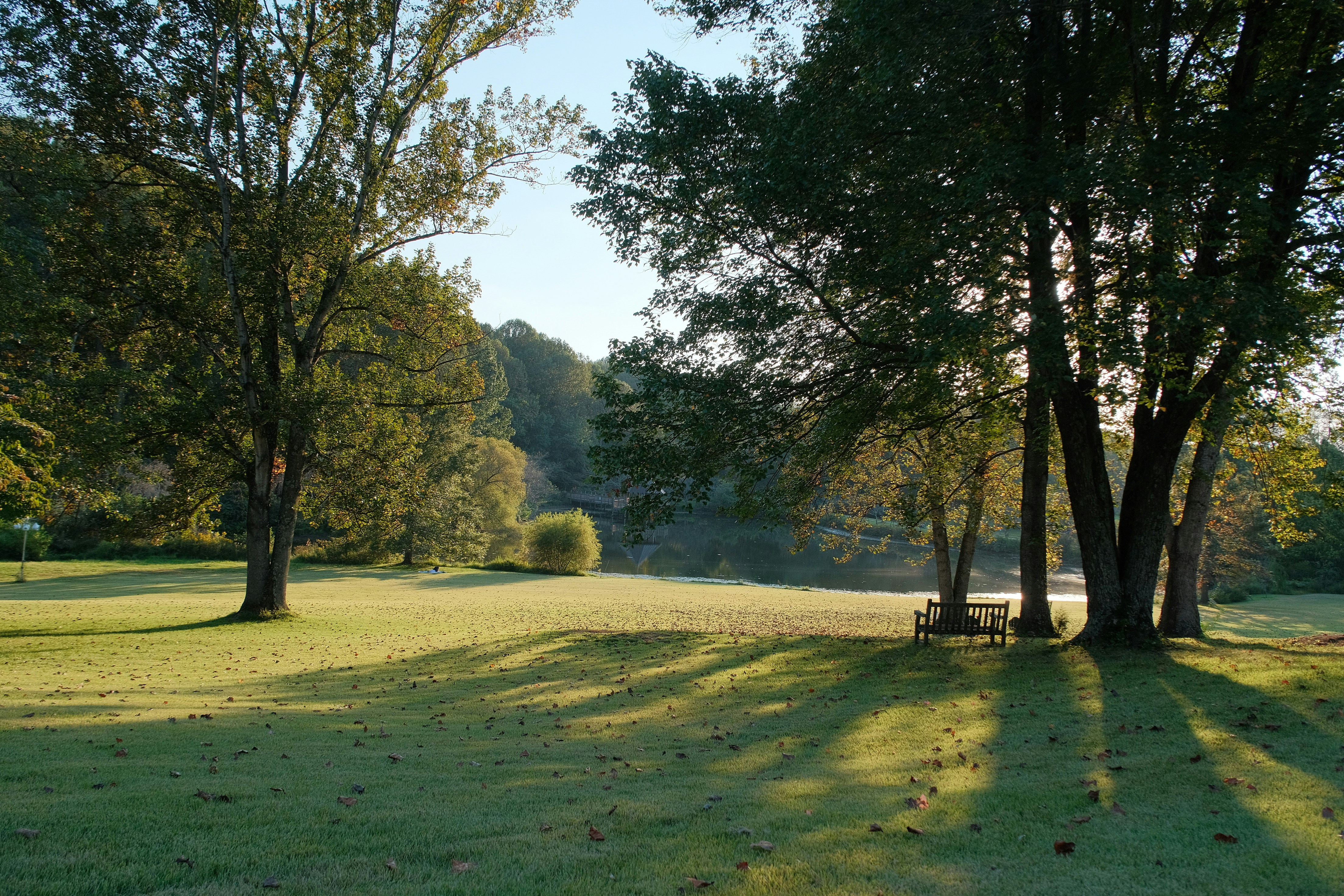 Sunlit park with trees and long shadows.