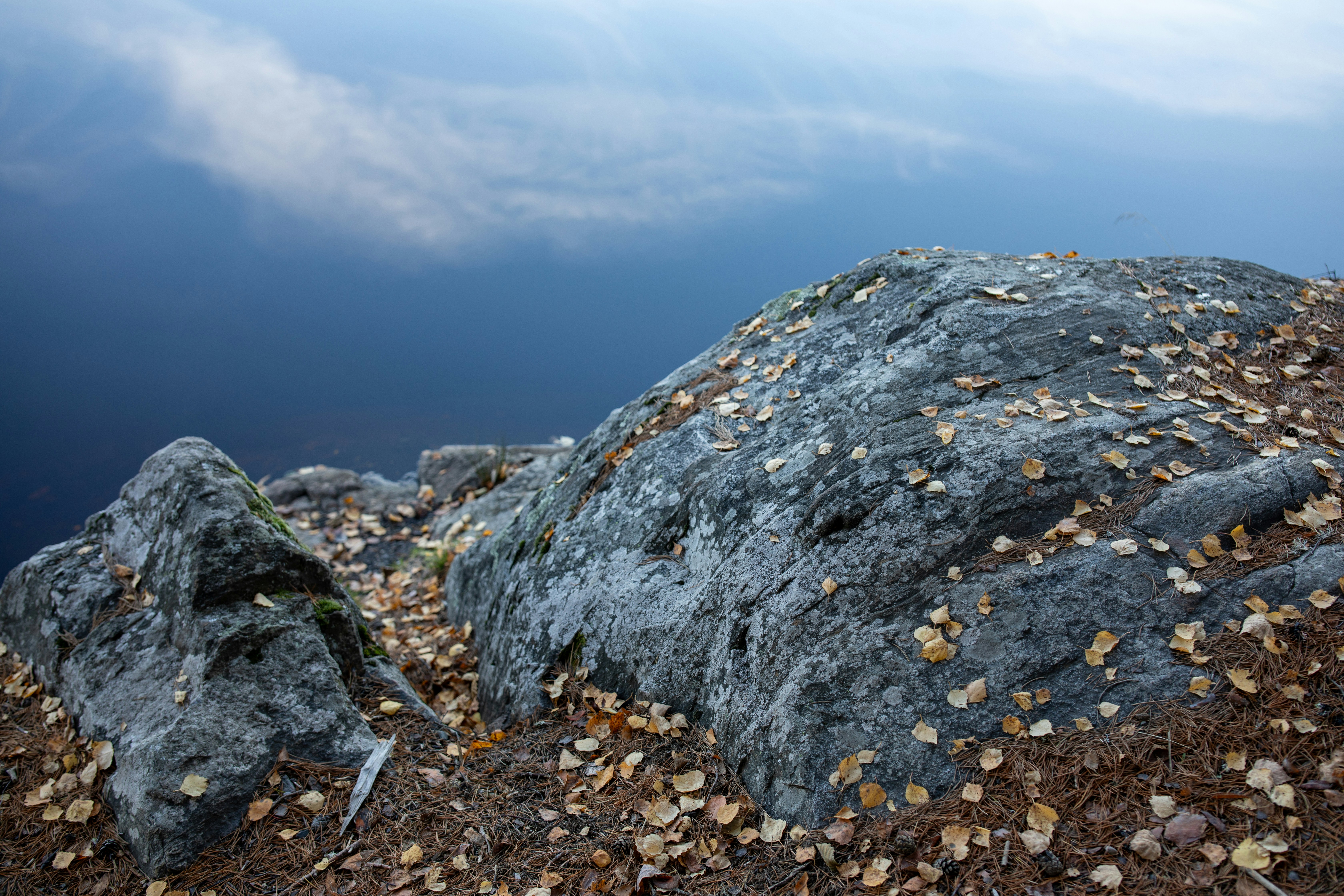 Whispers of Autumn by the Water's Edge
