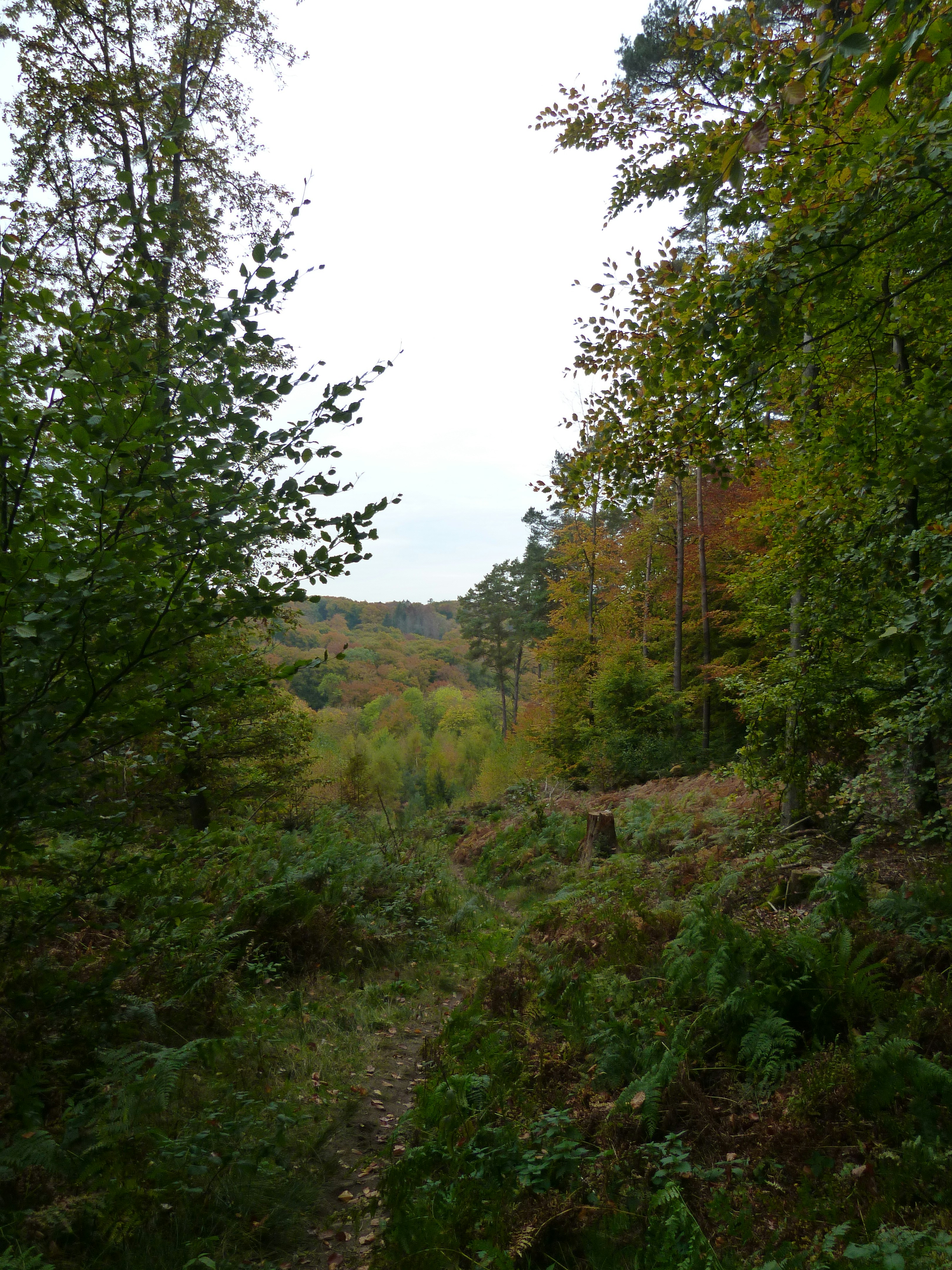 Photo by Katarzyna Bobrowicz with Panasonic Lumix FZ45