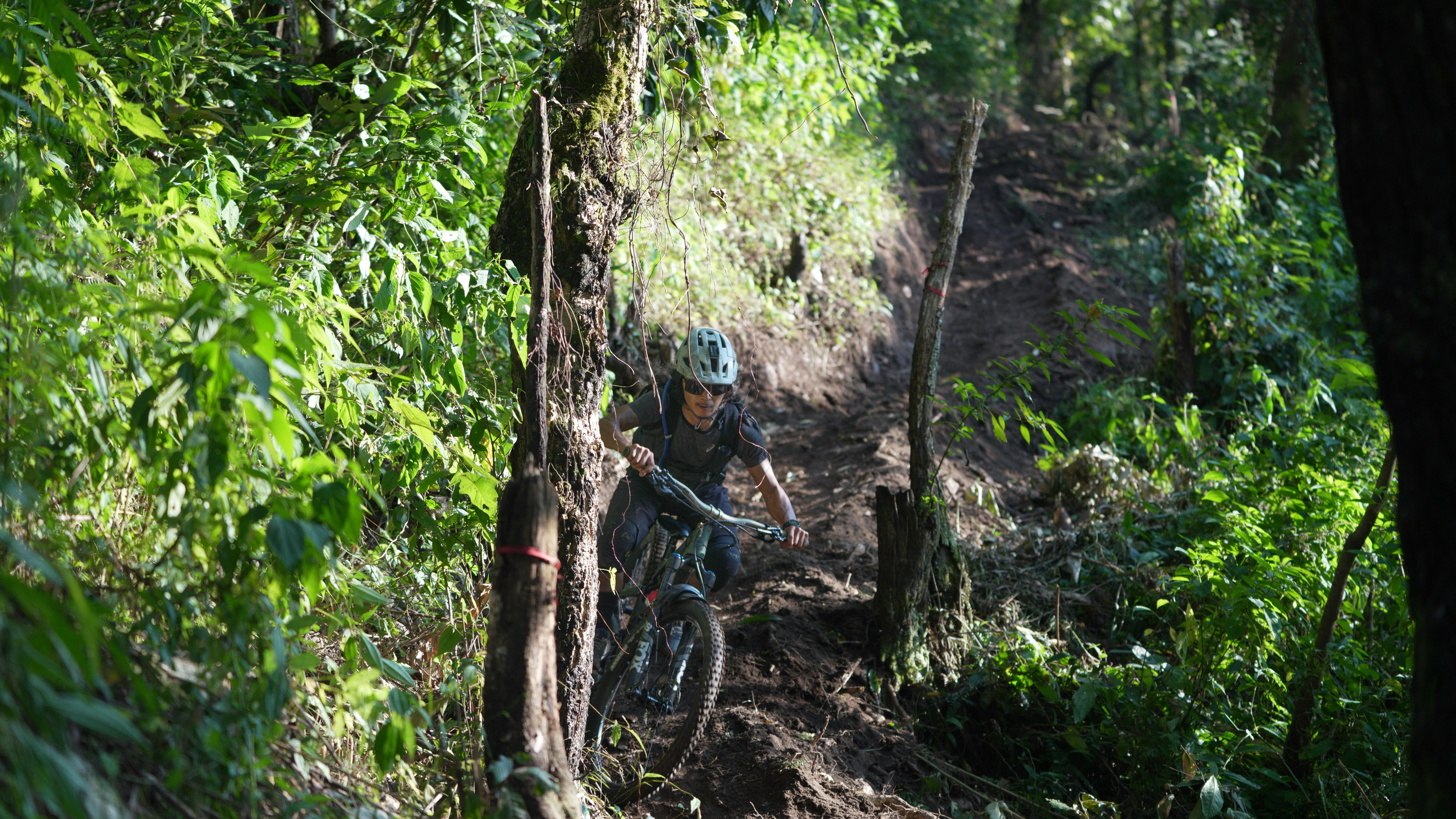 Navigating Nature's Path: A Mountain Biker's Journey
