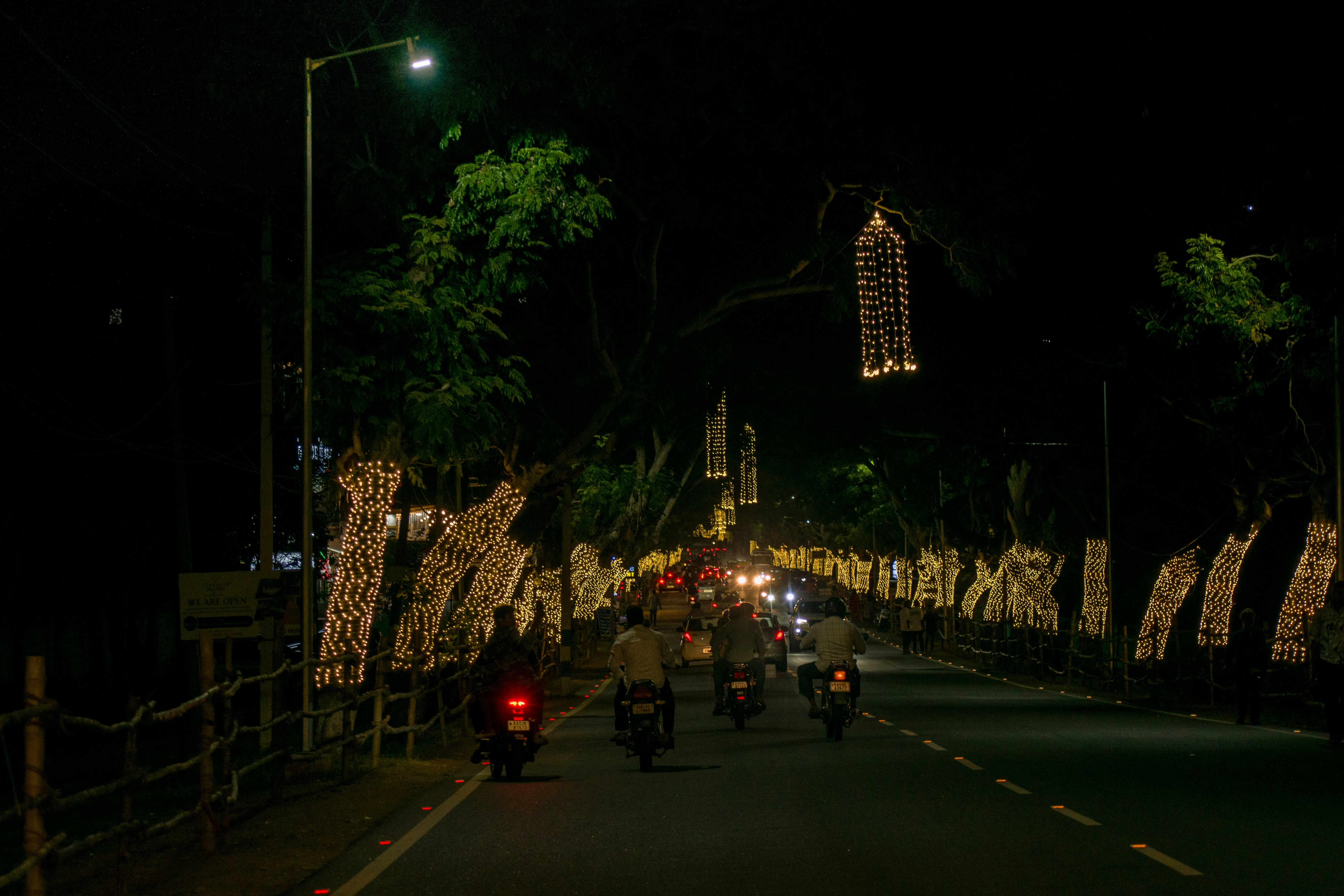 Illuminated Pathways: A Nighttime Ride