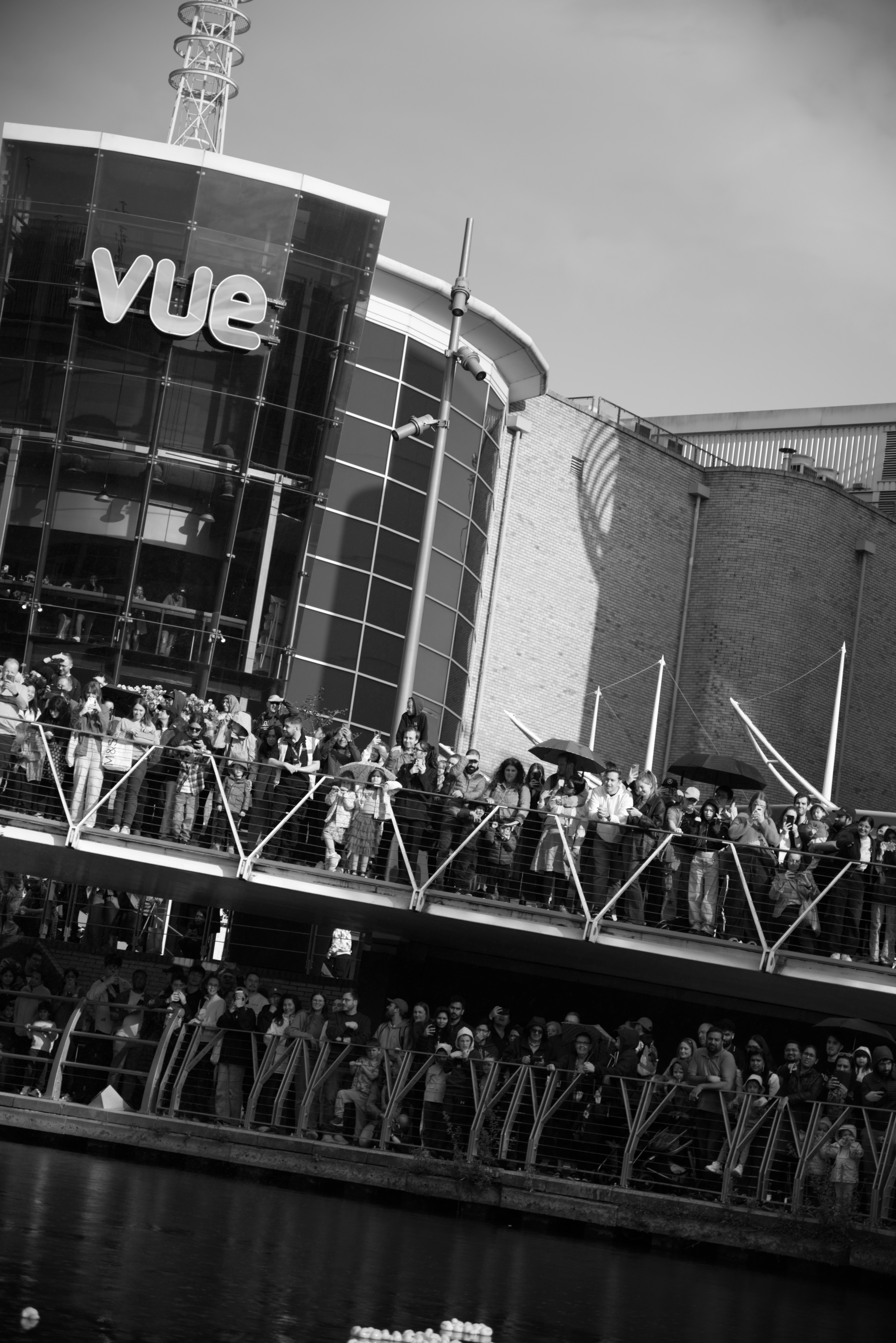 Gathering at Vue: A Community in Focus